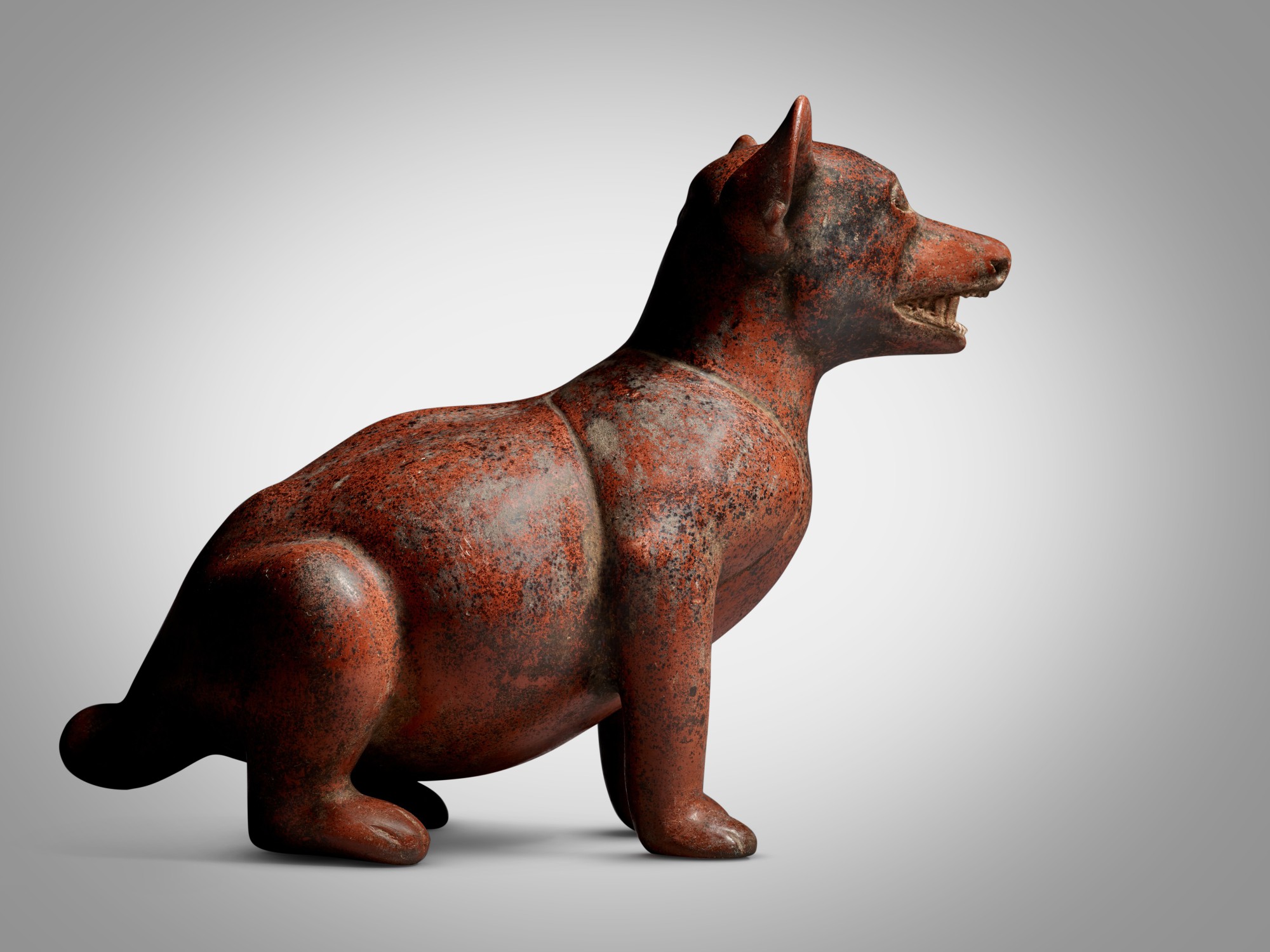 Colima Seated Dog, Protoclassic, circa 100 BC - AD 250 | Art of Africa ...