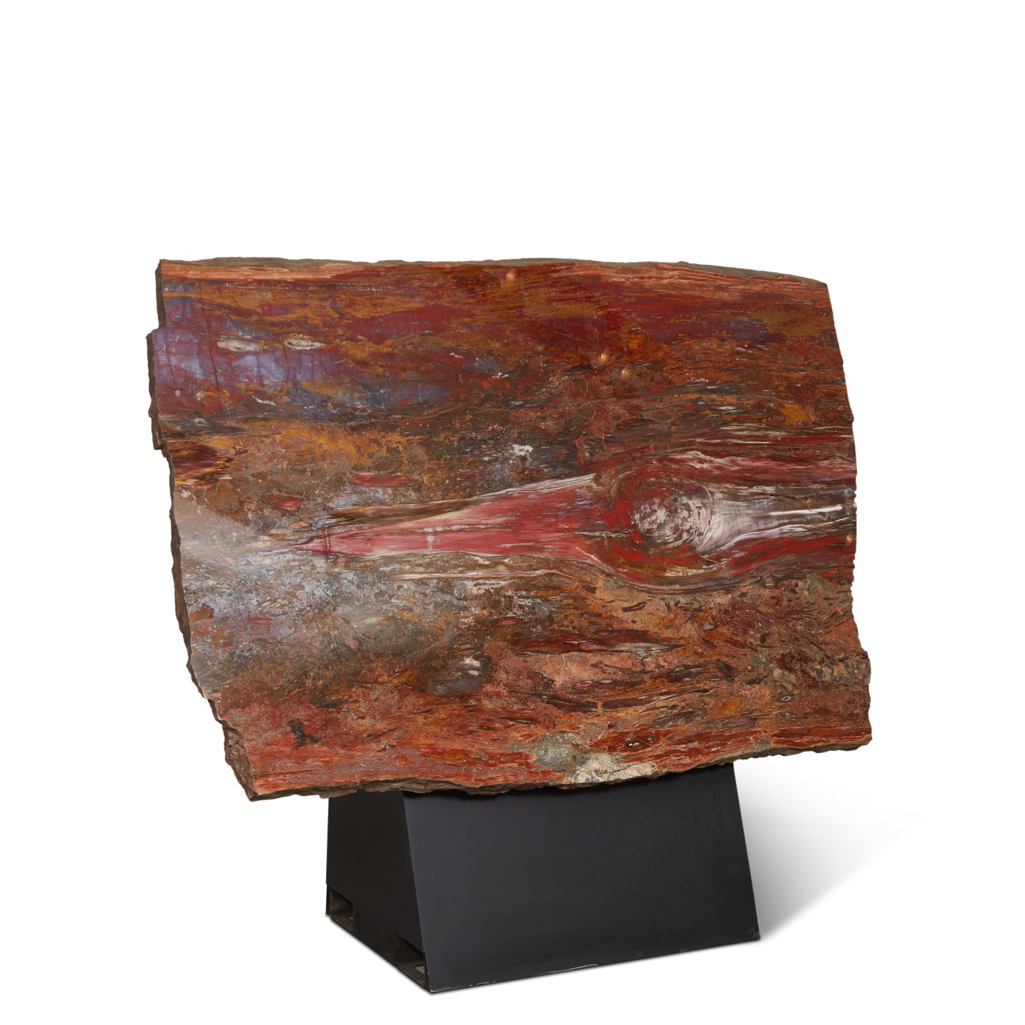 Petrified Wood Knot Log | Natural History | 2021 | Sotheby's