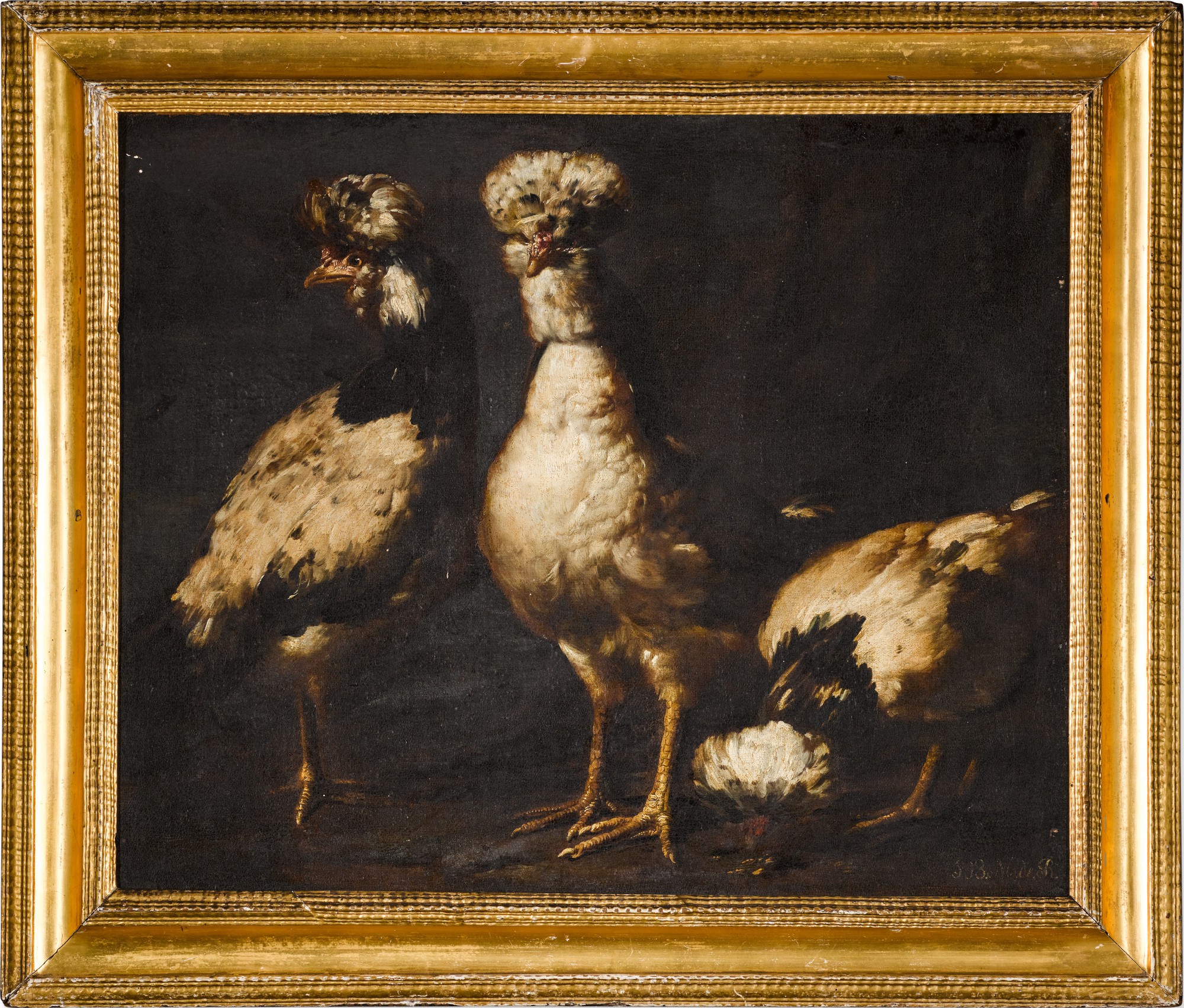 Pietro Neri Scacciati, Three black and white crested fowls | STYLE ...