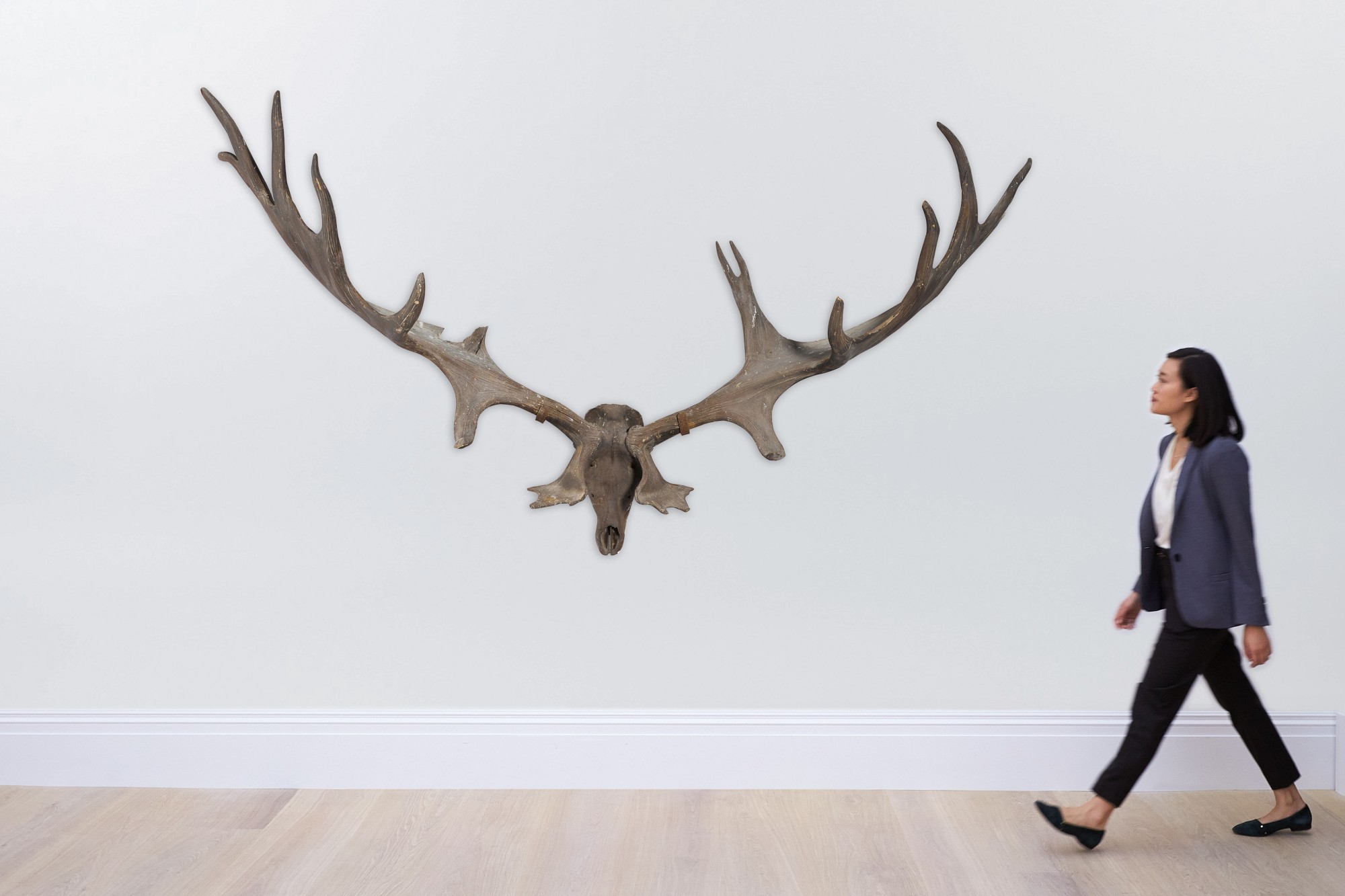 A pair of fossilised 'Irish elk' antlers, Prehistoric | Royal & Noble ...
