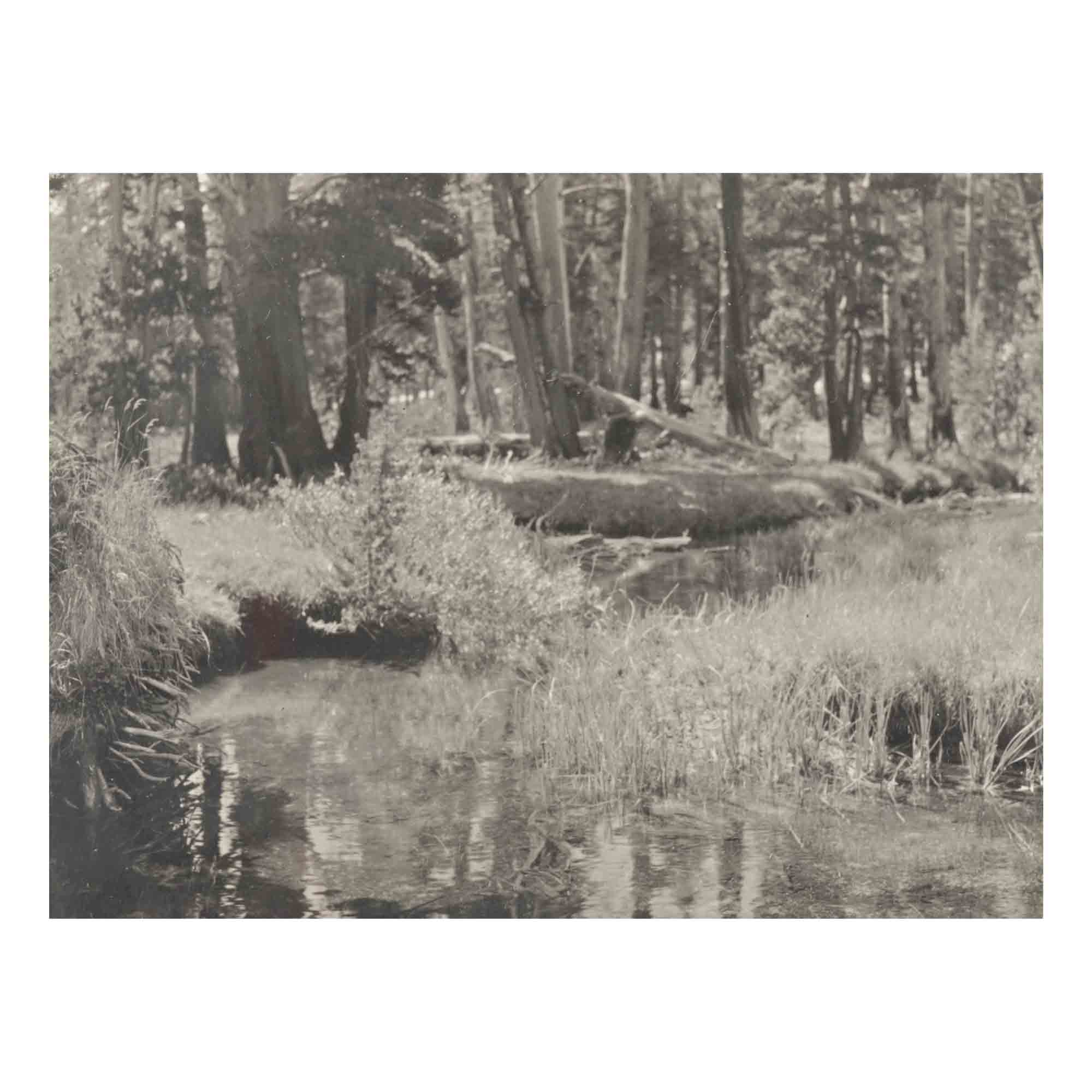 Lyell Fork With Merced River | A Grand Vision: The David H. Arrington ...