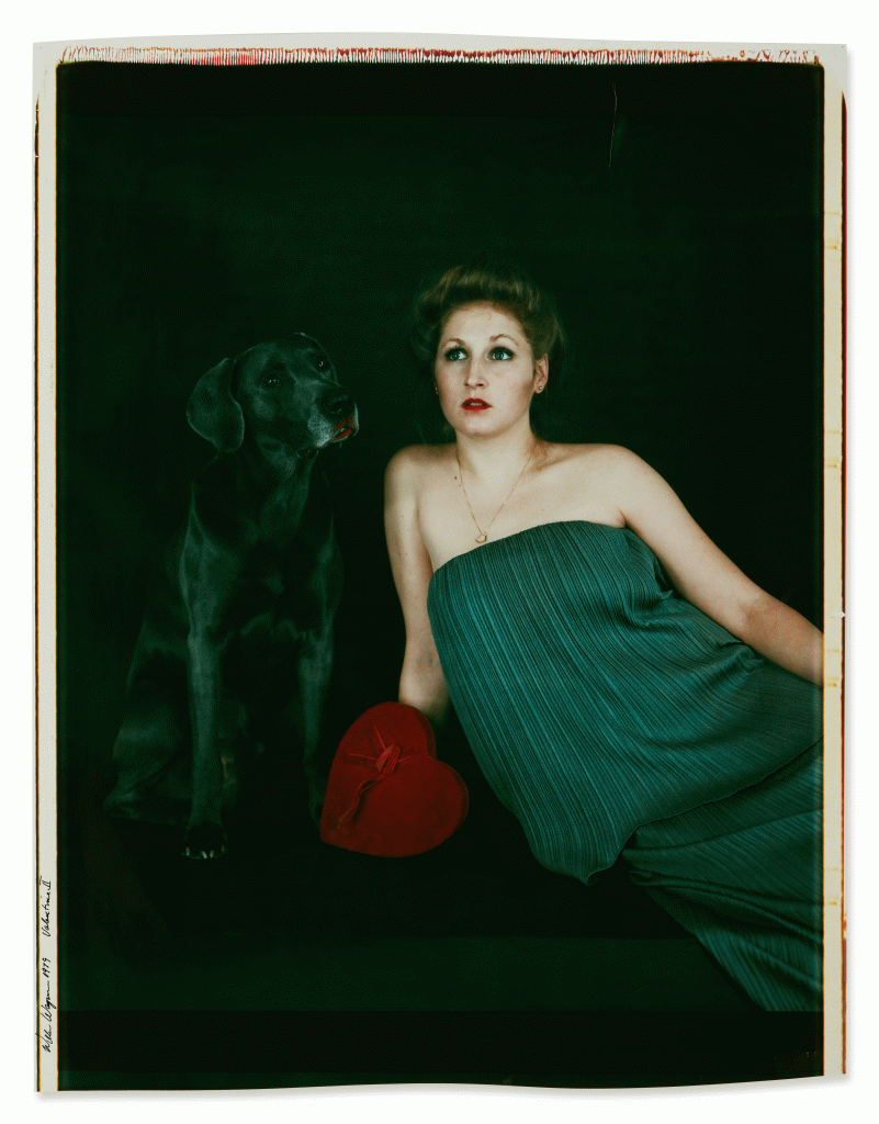 William Wegman Vintage Valentine II Available For Immediate Sale At ...