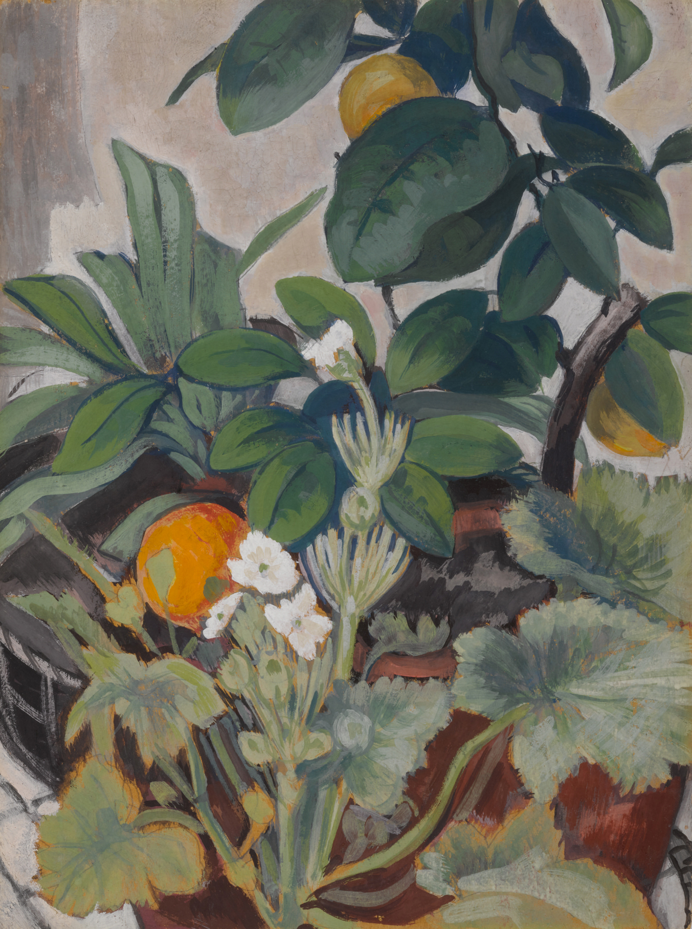 CHARLES DEMUTH | TROPICAL PLANTS | American Art | 2020 | Sotheby's