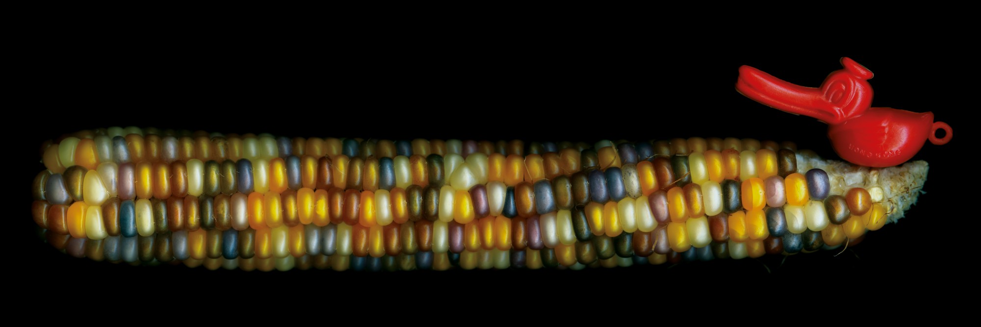 Angki Purbandono 昂基·普爾班多諾 | Waiting for His Master 等待他的主人 ...