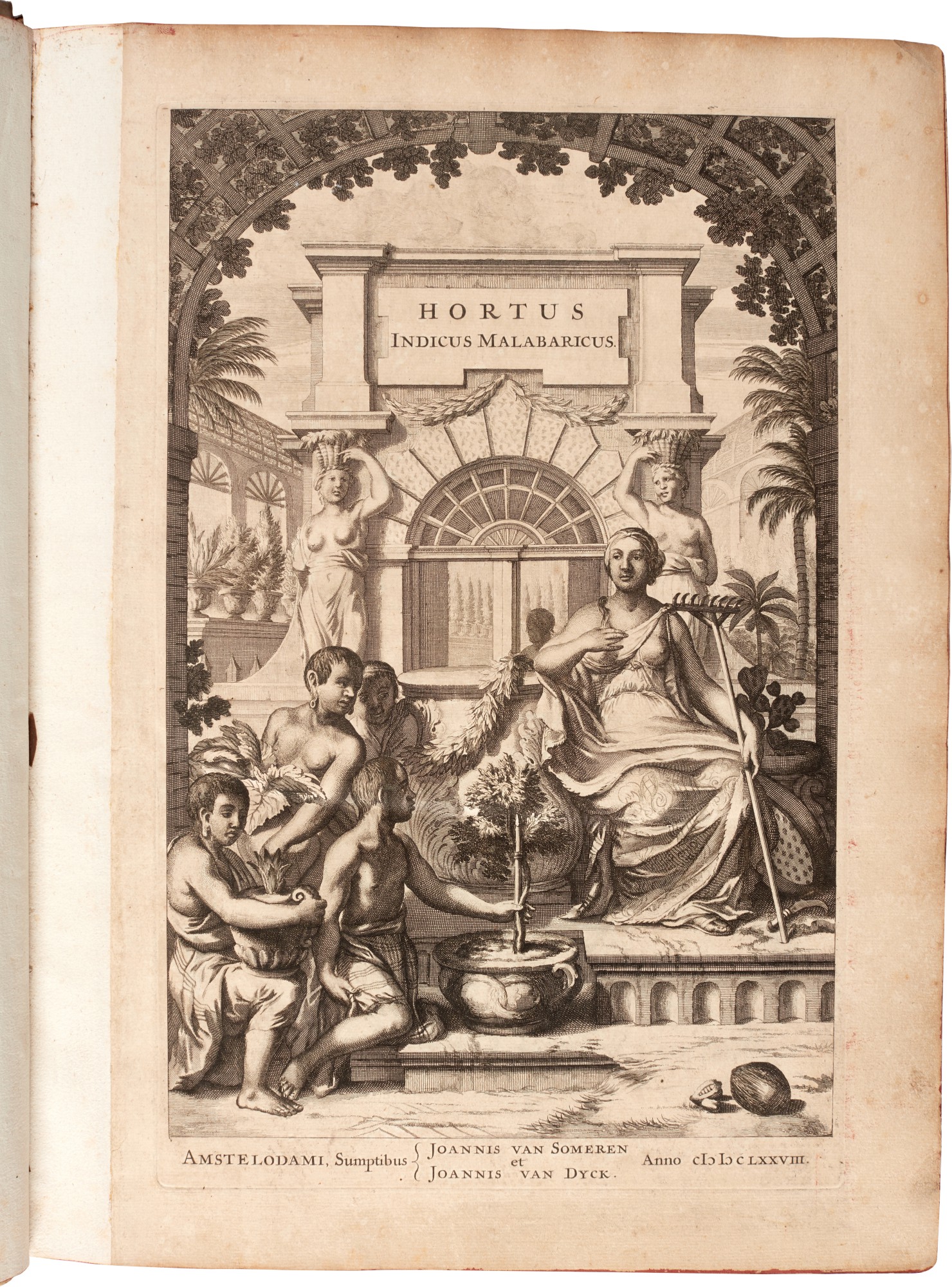 Rheede | Hortus indicus malabaricus, Amsterdam, 1678-1693, 12 parts in ...