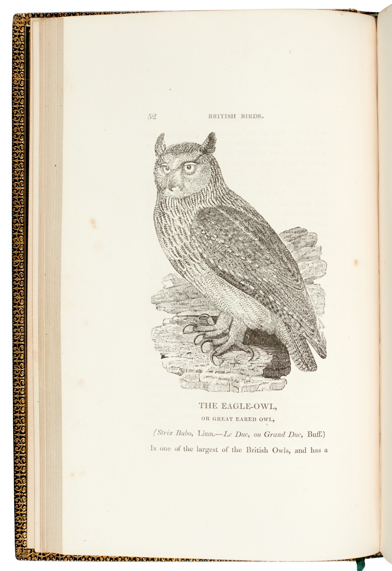 Thomas Bewick | History of British Birds, 2 volumes; [with] History of ...
