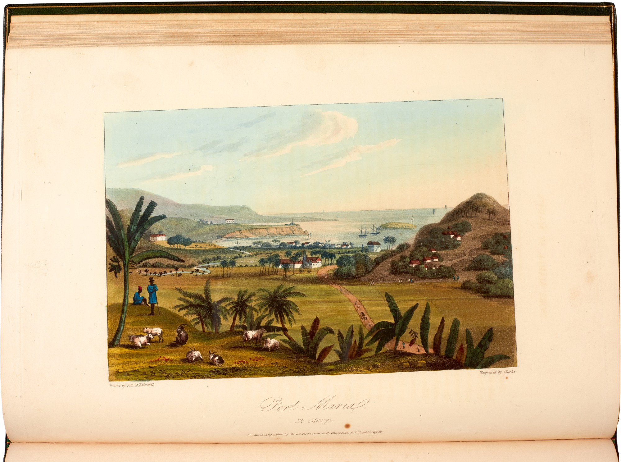 Jamaica—Hakewill | A picturesque tour of the island of Jamaica. 1825 ...