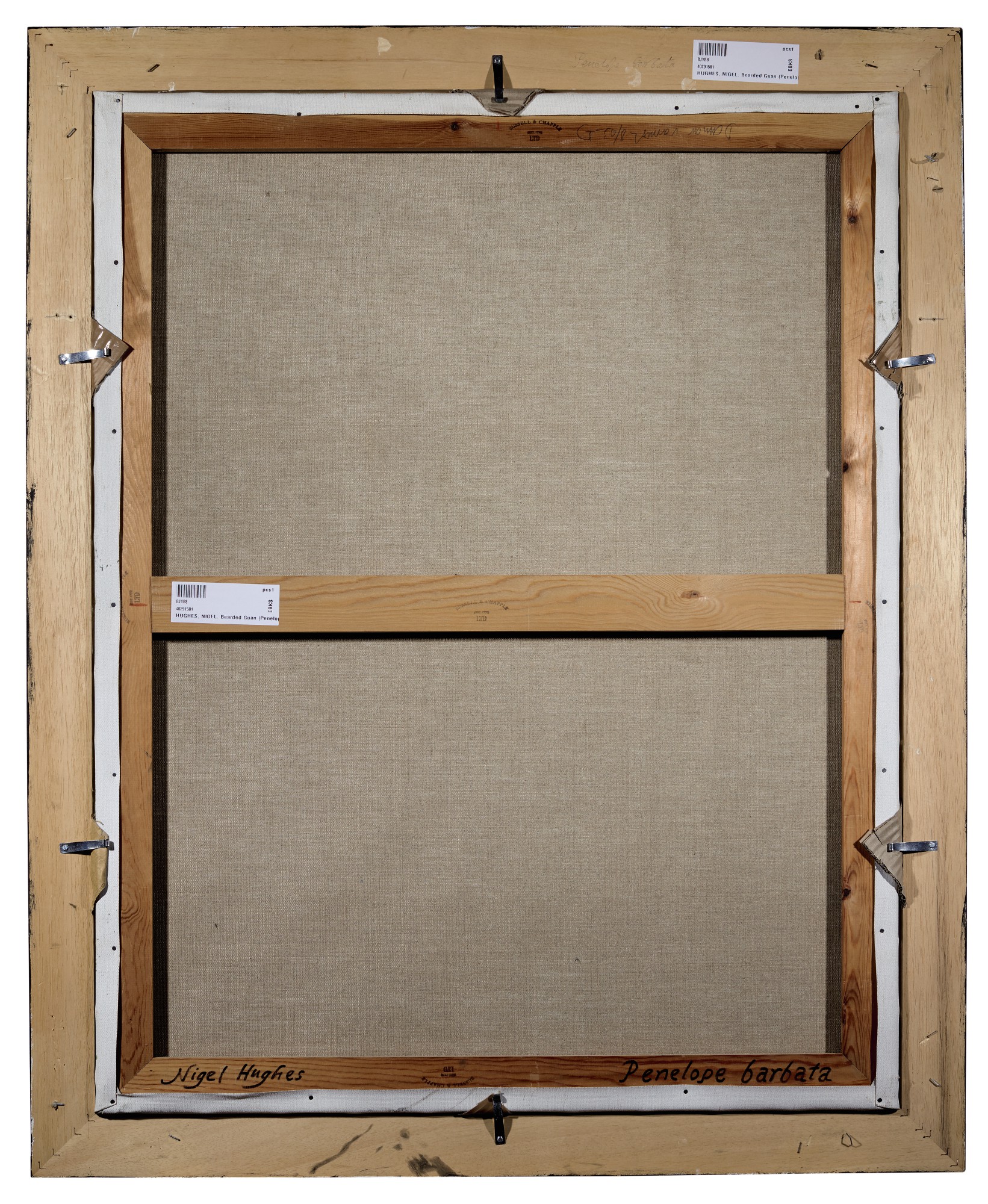 Hughes. Bearded Guan (Penelope barbata) 1999, oil on canvas | Travel ...