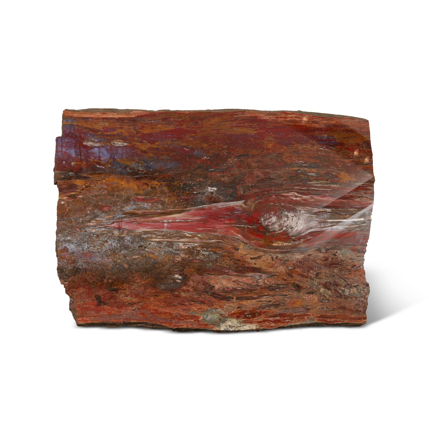 Petrified Wood Knot Log | Natural History | 2021 | Sotheby's