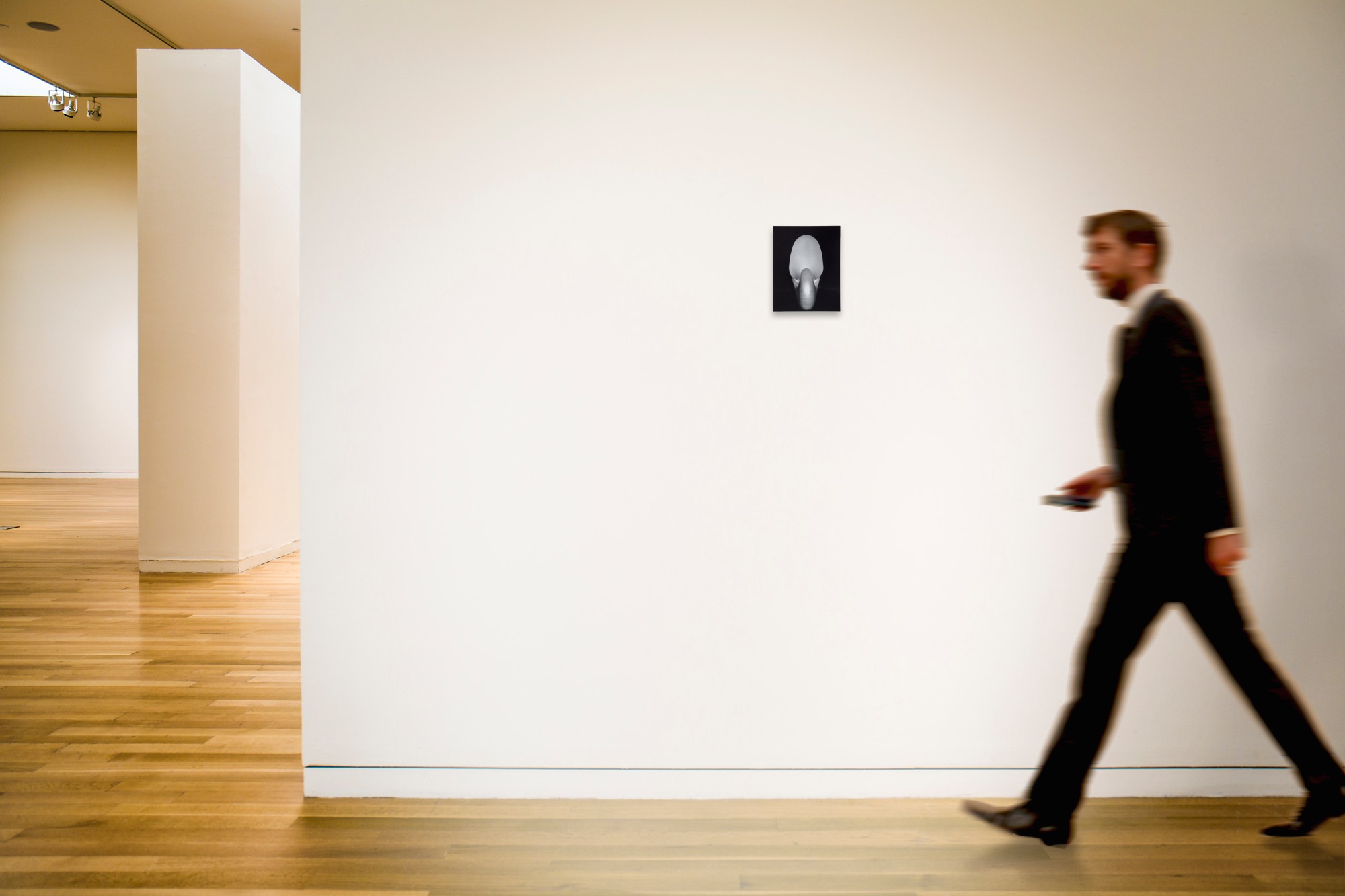 EDWARD WESTON | 'SHELL' | Photographs | 2020 | Sotheby's