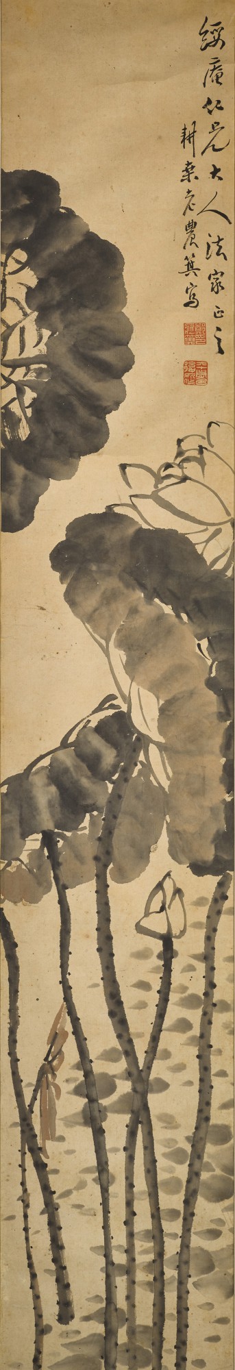 Attributed to Zheng Ji (1809-1879) Lotus flower and leaves hanging ...