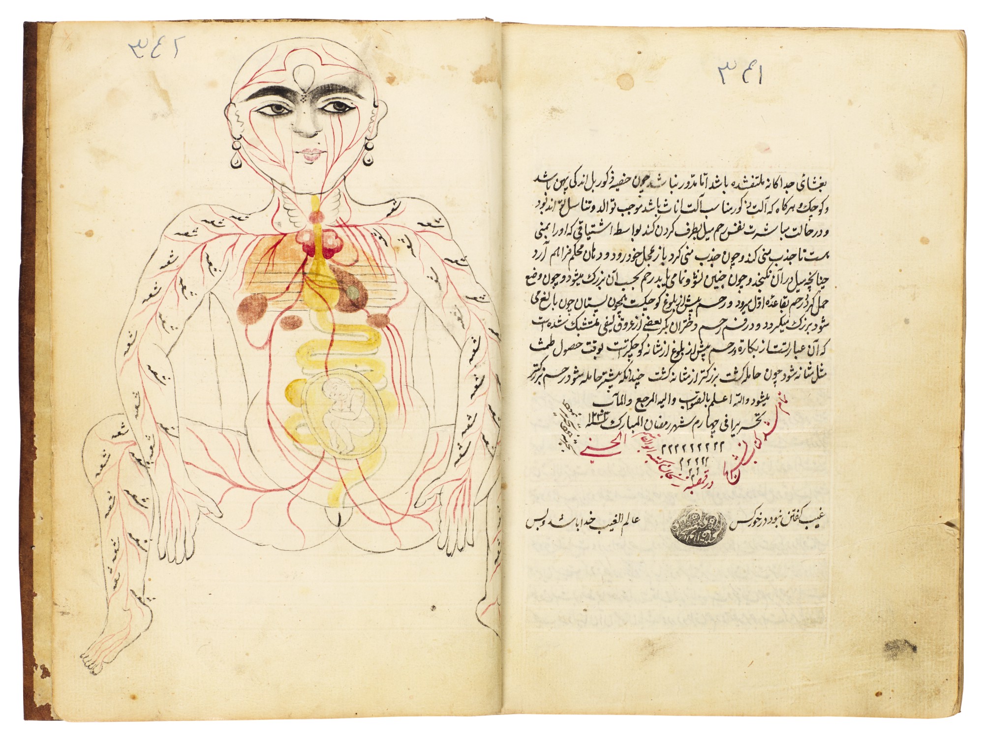 ABU AL-MAJID AL-TABIB AL-BAYDAWI, KITAB TASHRIH, COPIED BY ABU AL-QASIM ...