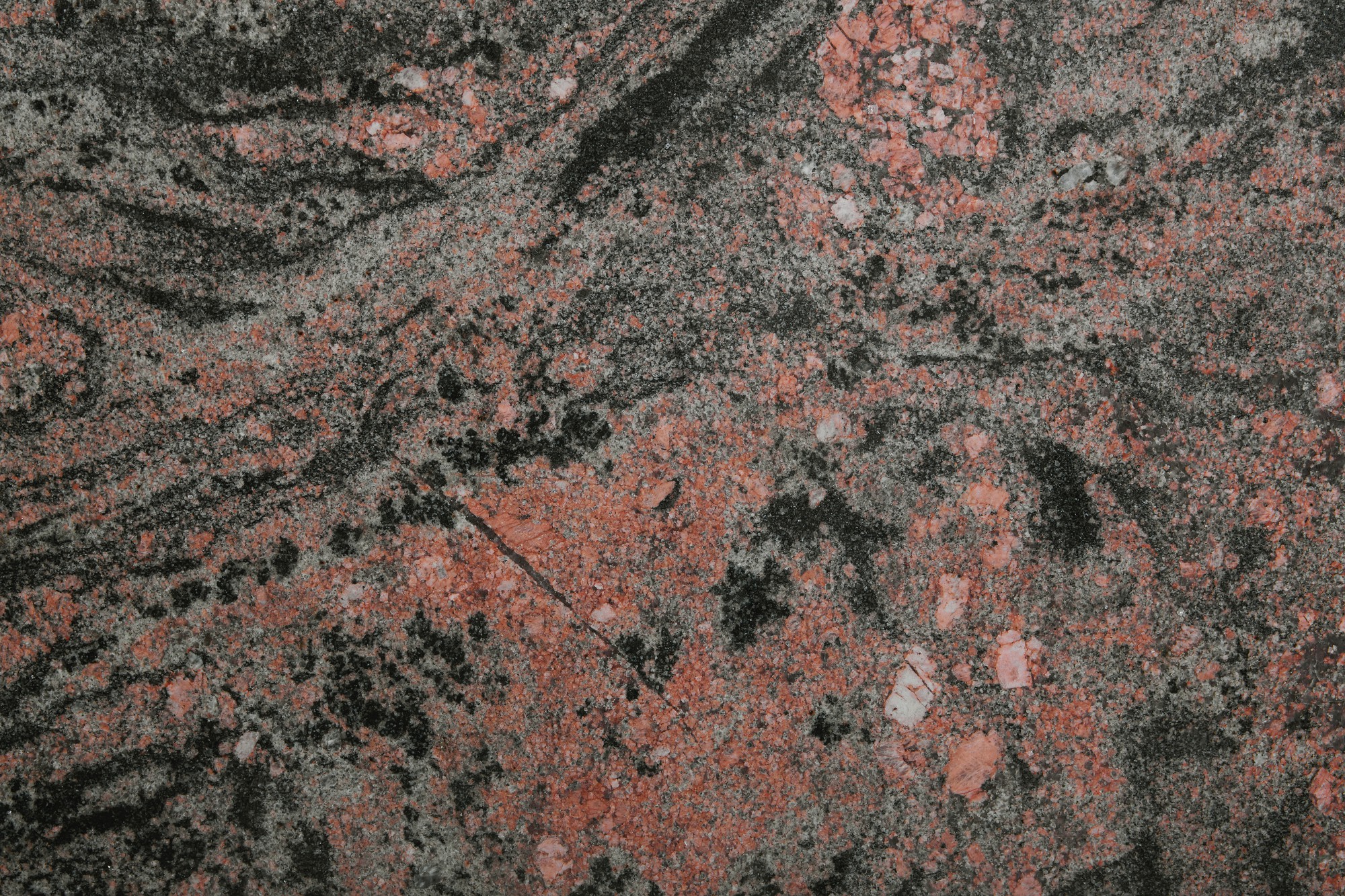 Morton Gneiss Plate | History of Science & Technology, Including ...