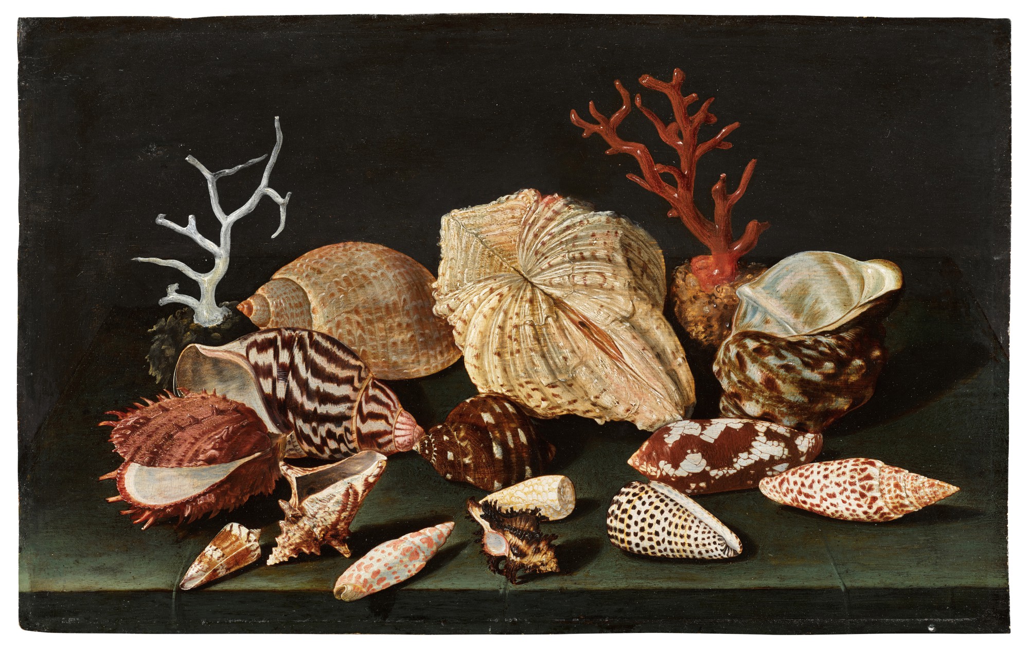 Still life of shells and coral on a table draped with a green cloth 《靜物 ...
