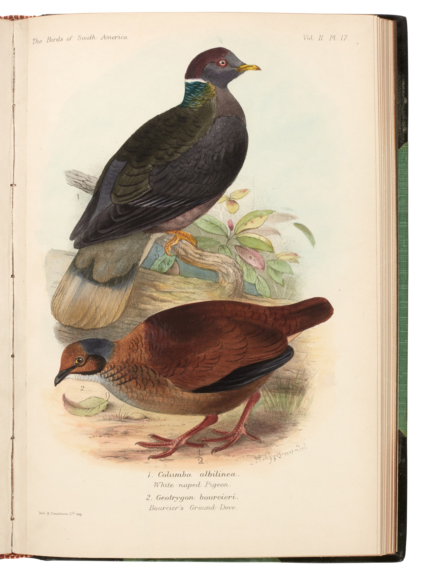 W. Knatchbull-Hugessen, 3rd Baron Brabourne, and Charles Chubb | The ...