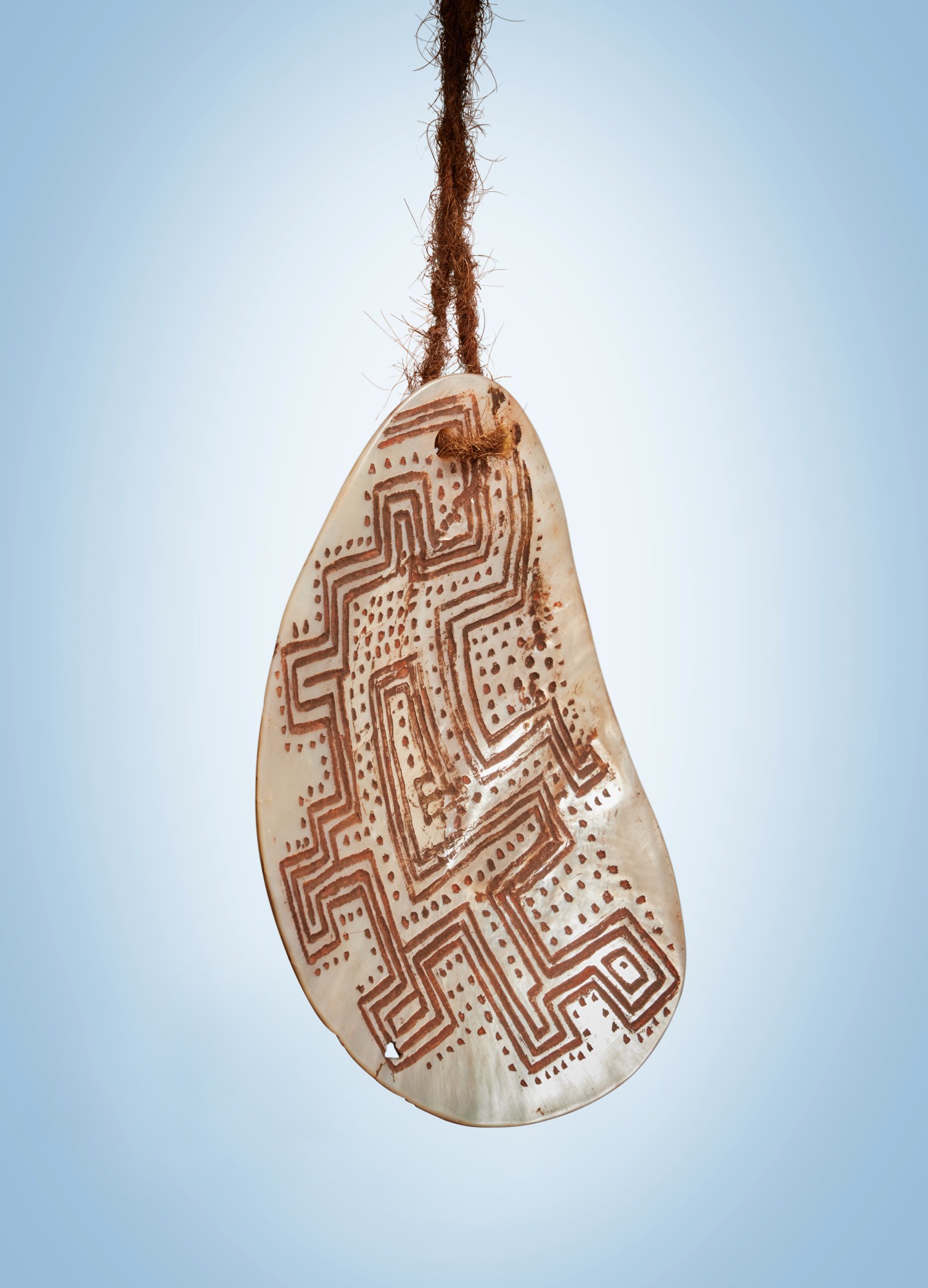 Pearl Shell Phallocrypt, Western Australia | The Blue Horizon: Pacific ...