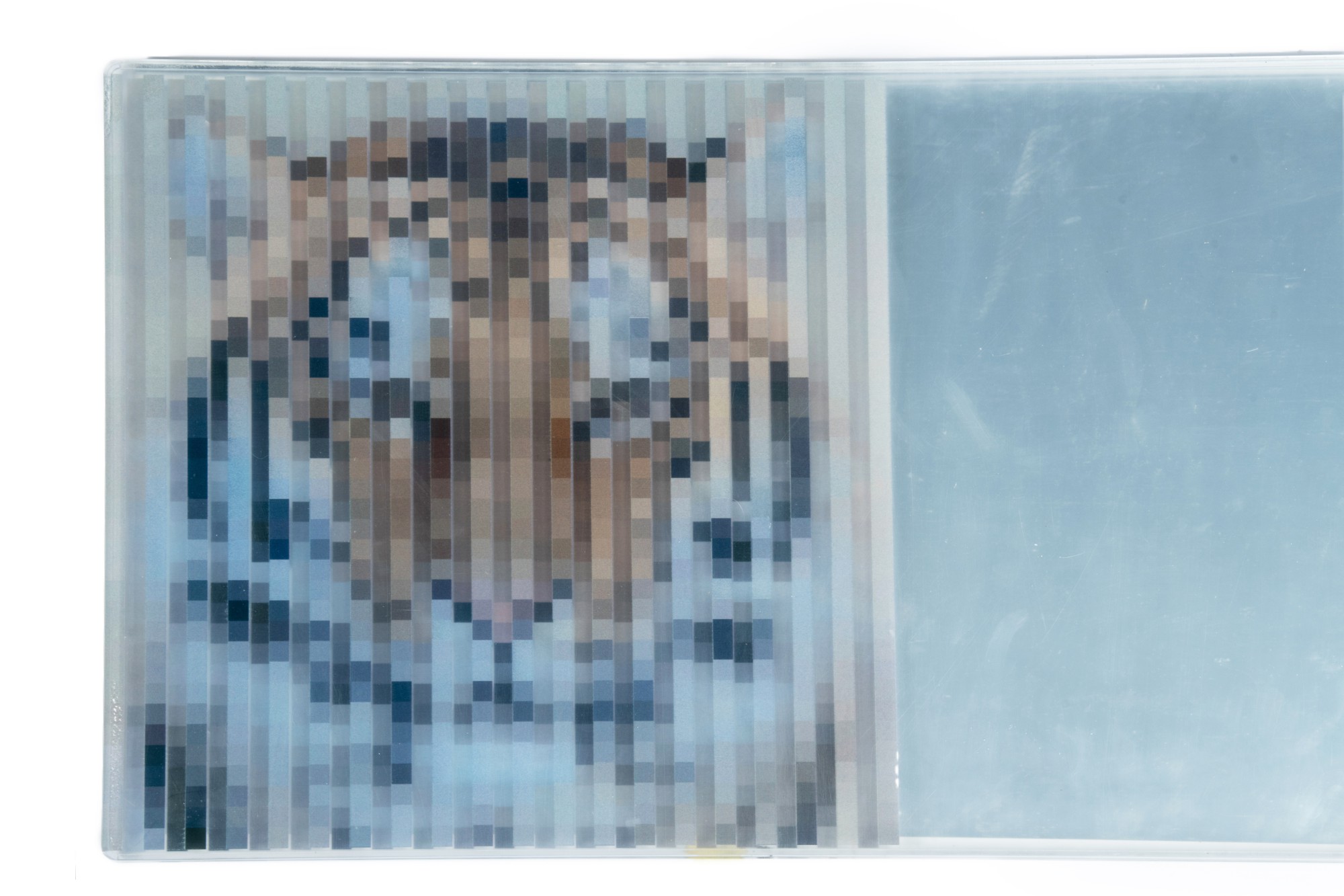 Sun Wentao 孫文濤| Territory 領地 | WWF Tiger Trail 2022 | 2022 | Sotheby's
