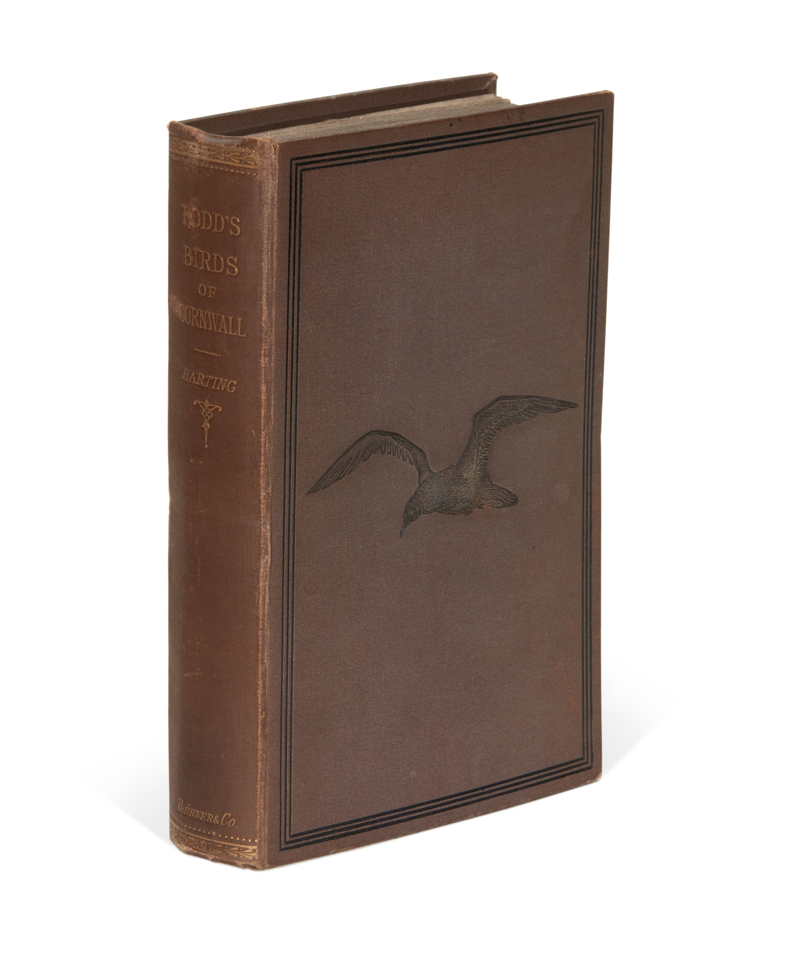 Edward Rodd and James Edmund Harting |The Birds of Cornwall, 1880 ...