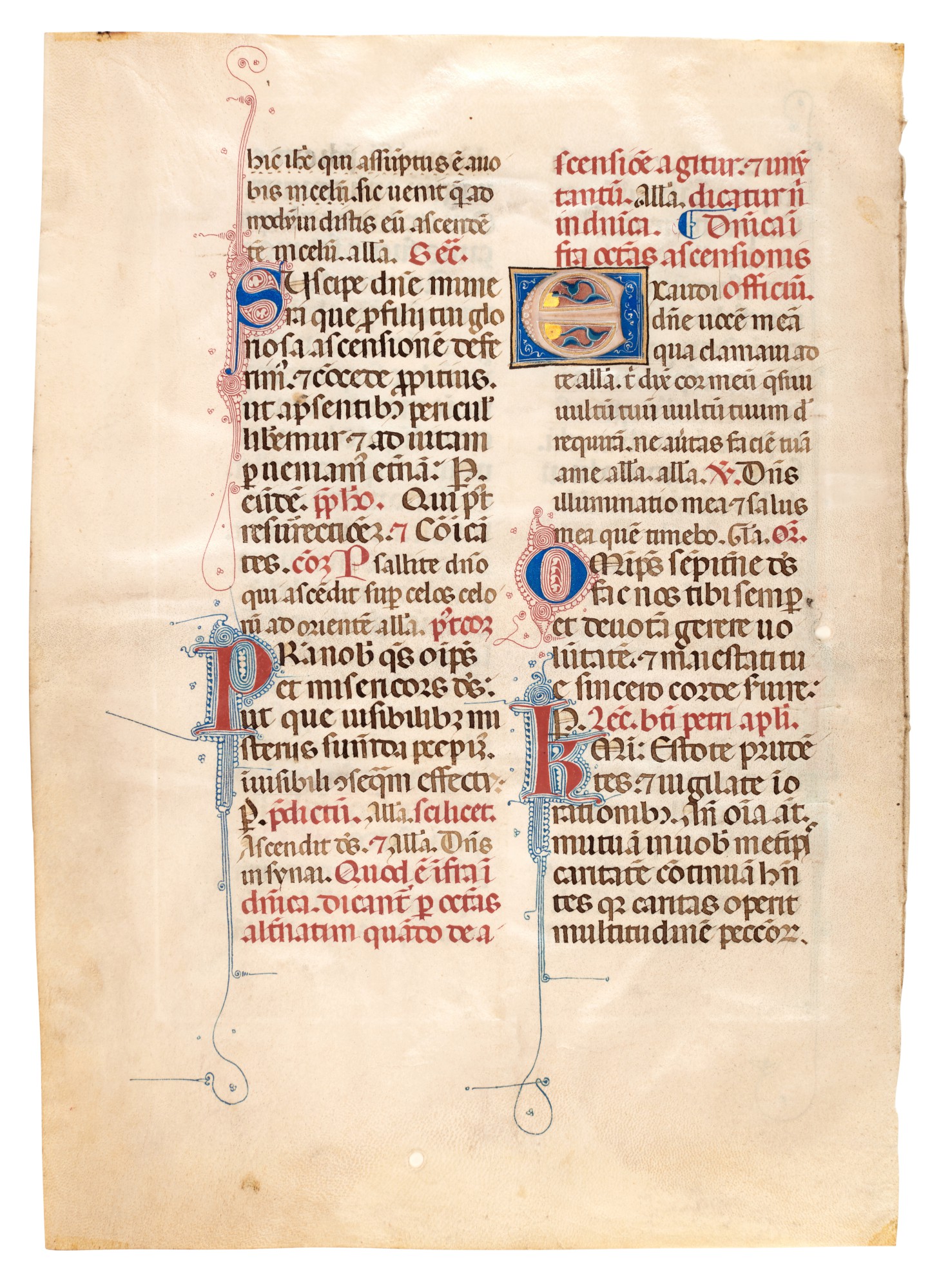 Leaf from a Dominican Missal, illuminated manuscript in Latin on vellum ...