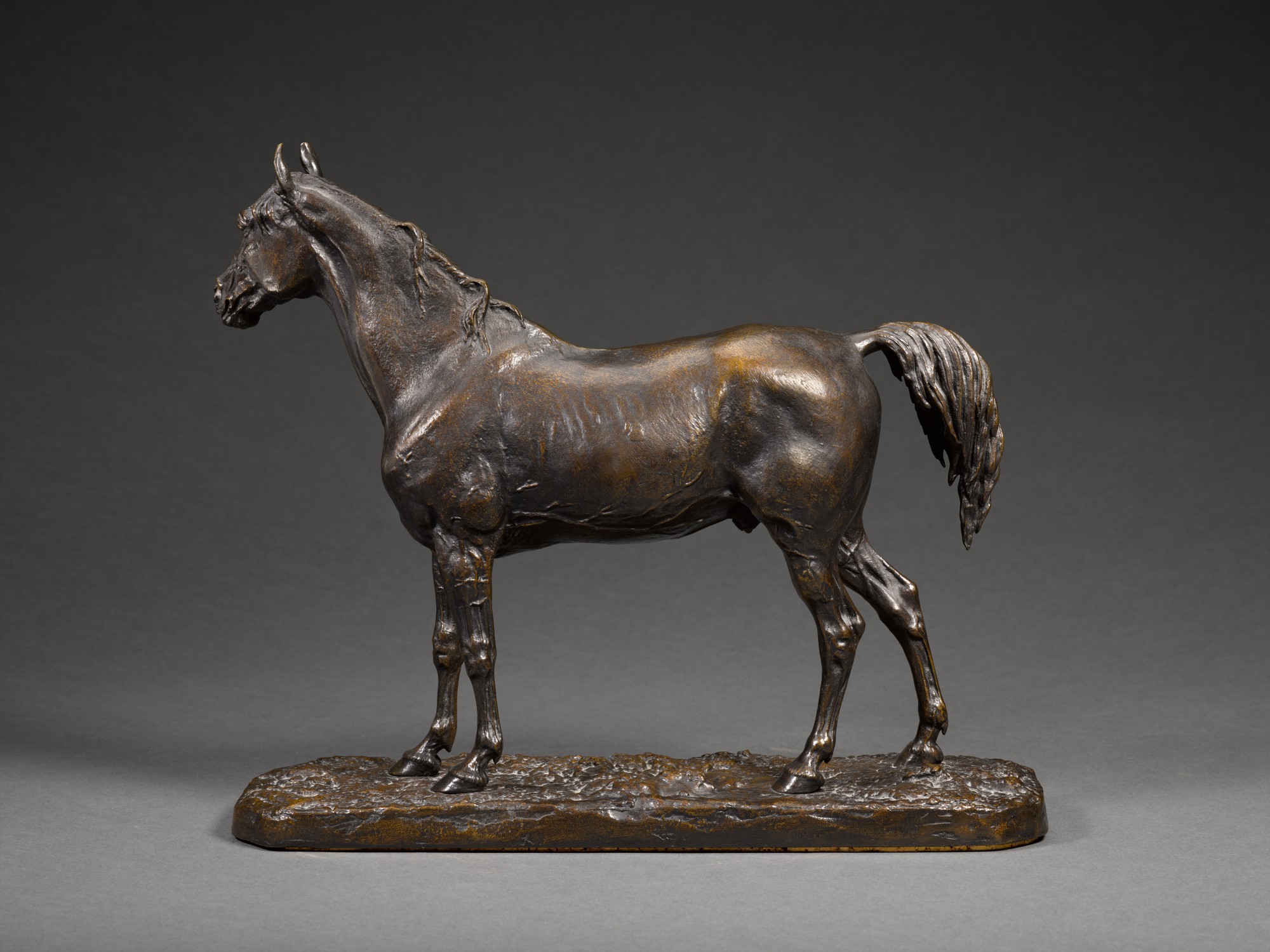 Ibrahim Étalon Arabe (Ibrahim, an Arab Stallion) | 19th & 20th Century ...