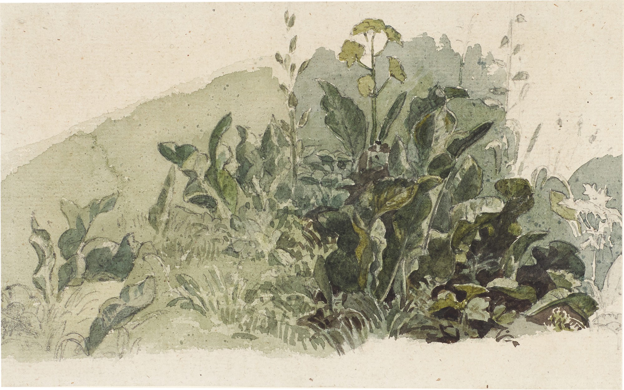 Landscape with a young bird-catcher; together with a study of sorrel ...