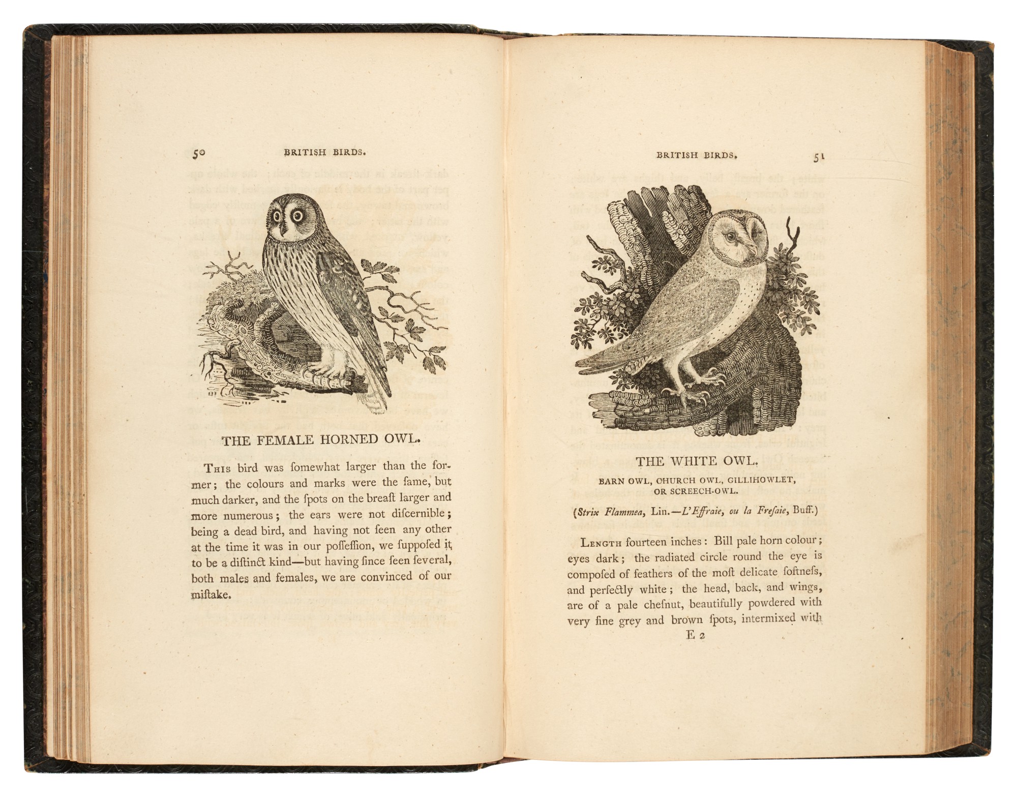 Thomas Bewick | History of British Birds, 1797–1804–1821, 2 volumes ...
