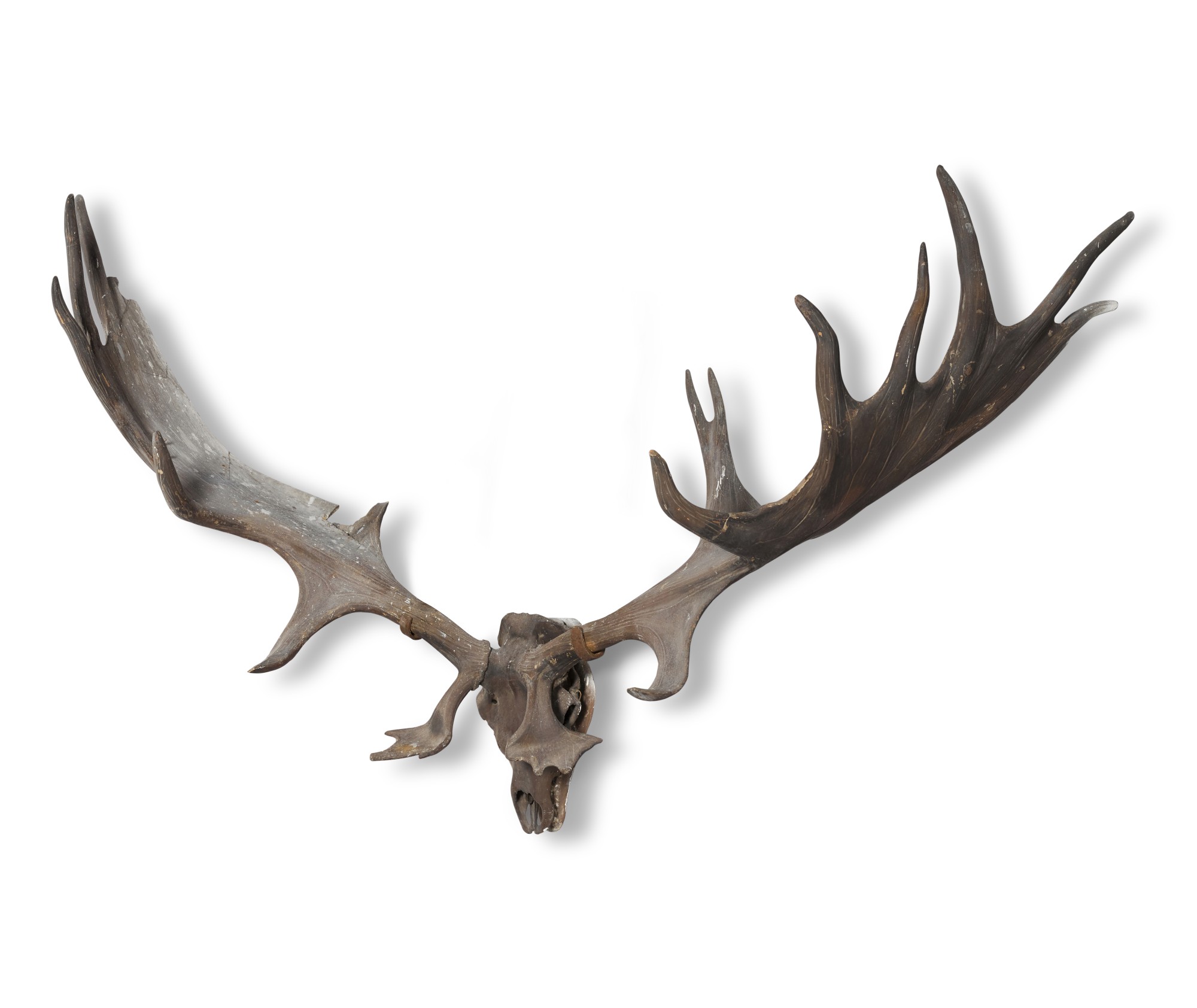 A pair of fossilised 'Irish elk' antlers, Prehistoric | Royal & Noble ...