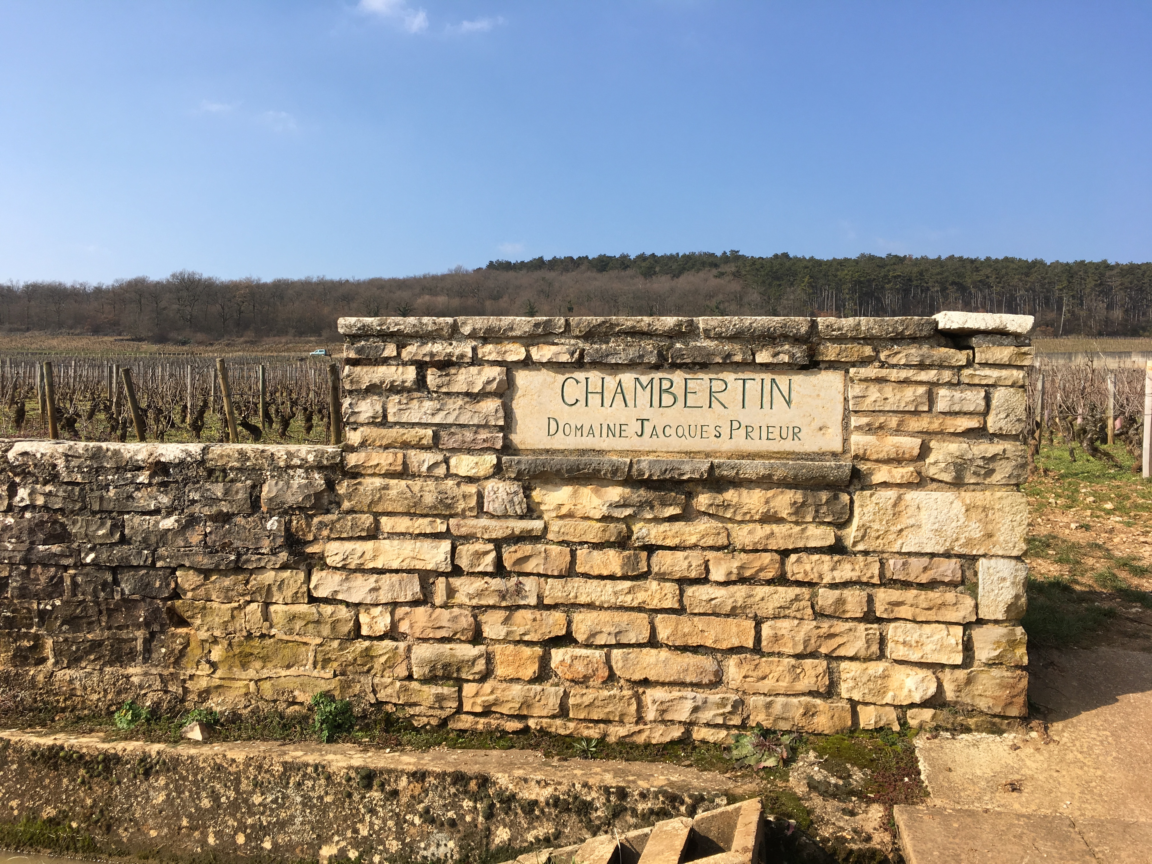 Chambertin 2007 Jacques Prieur (6 BT) | Vine | The Cointreau Collection ...
