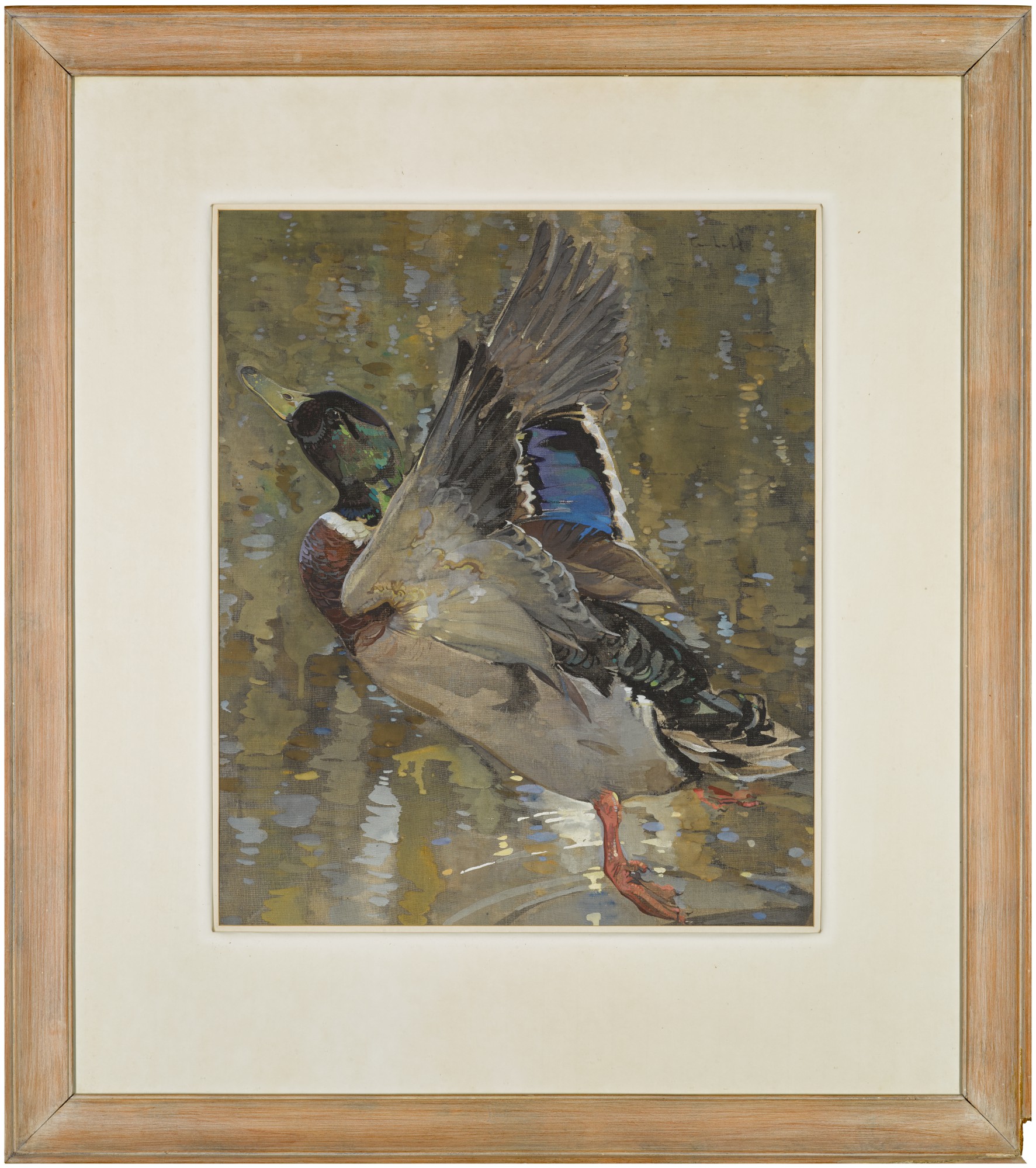 A Mallard Rising | Scottish Art | 2021 | Sotheby's