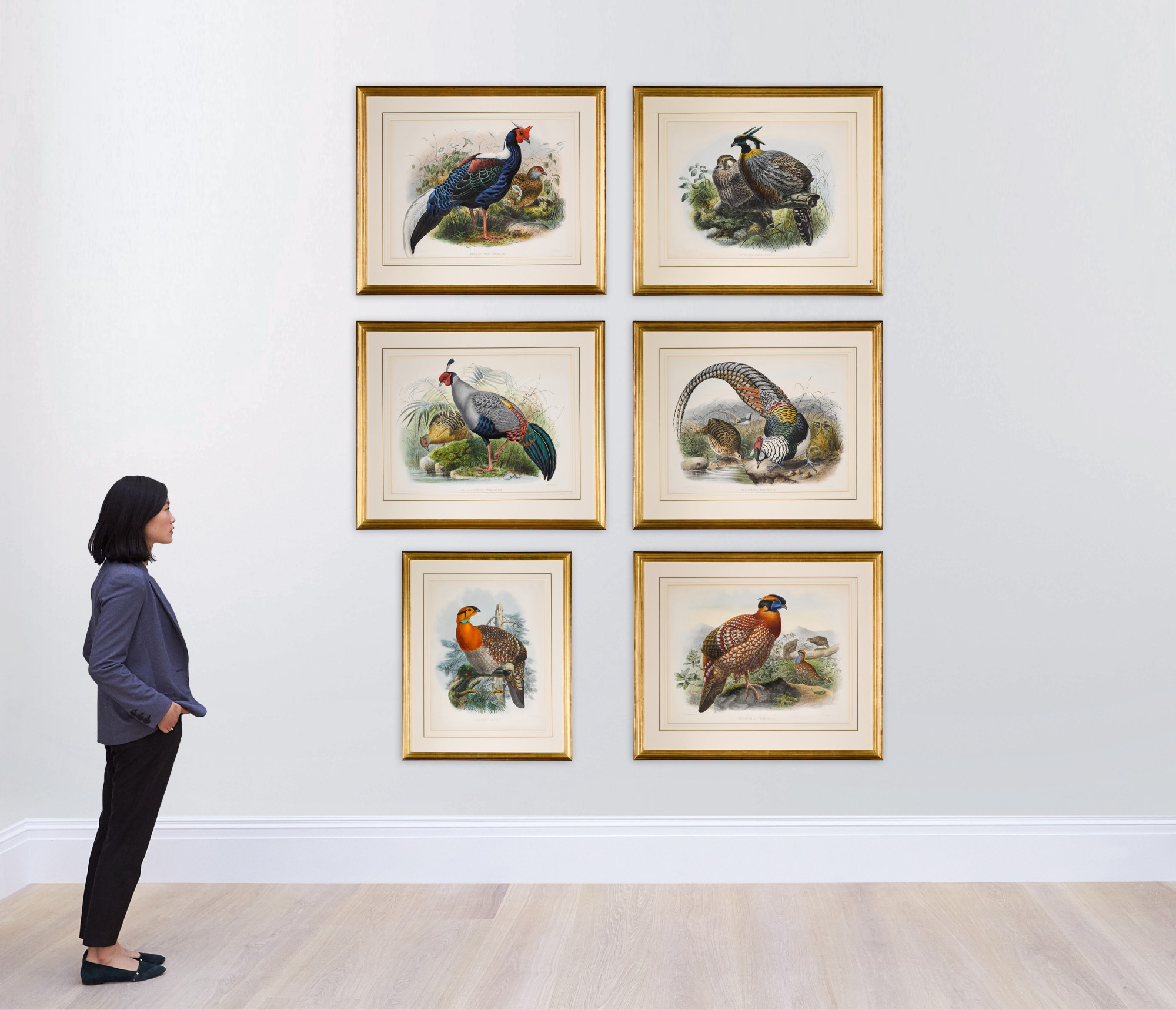 A set of six handcoloured ornithological prints by J. Wolfe & J. G ...