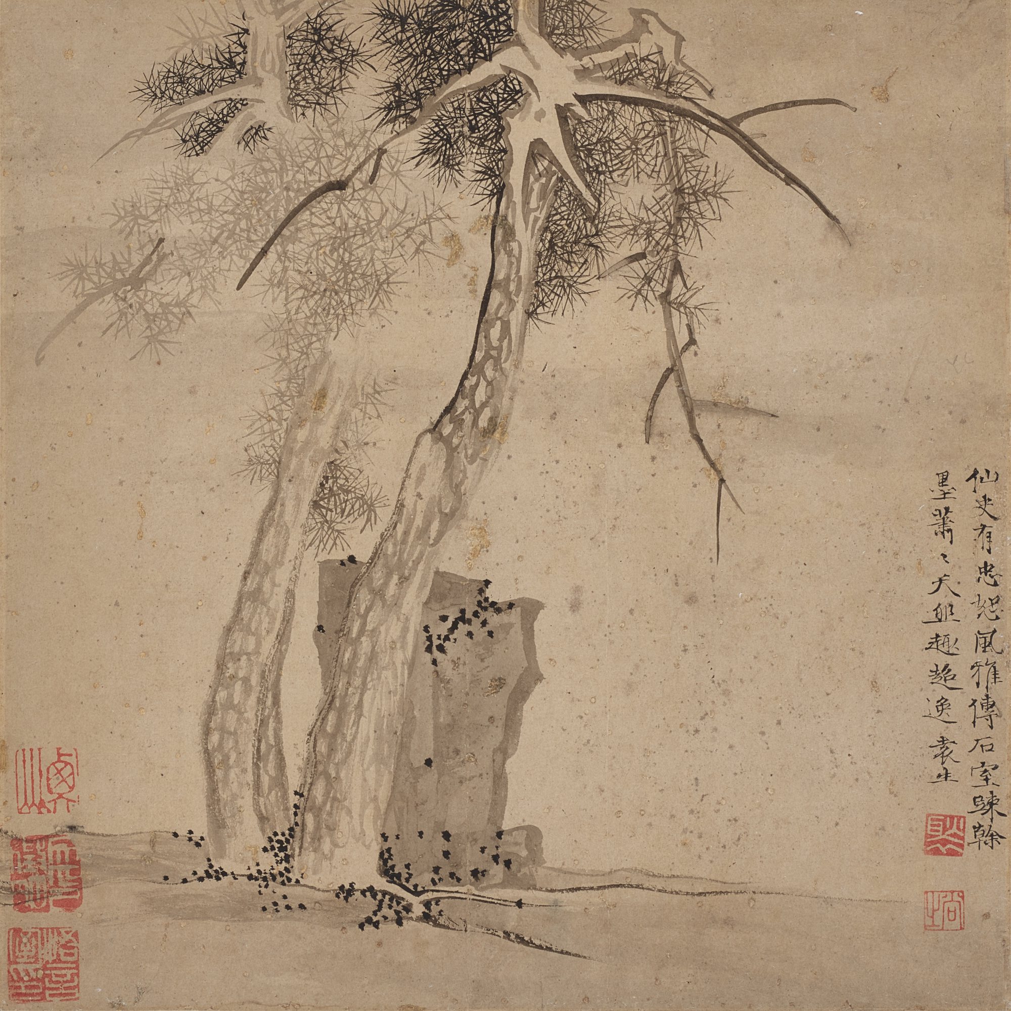 Wen Zhengming 1470-1559 文徵明 | Pine and Cypress 松柏樹石 | Fine Classical ...