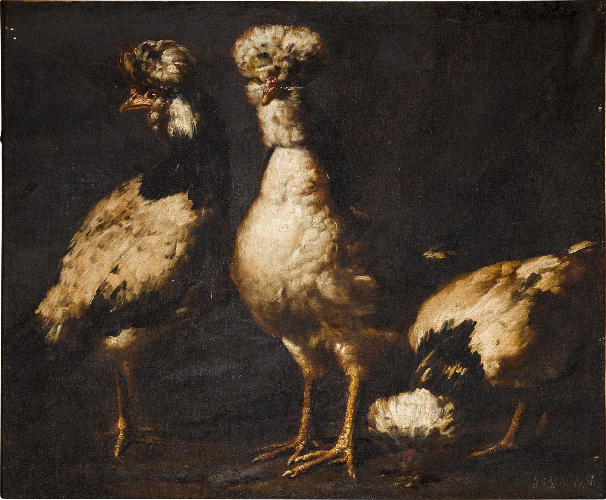Pietro Neri Scacciati, Three black and white crested fowls | STYLE ...