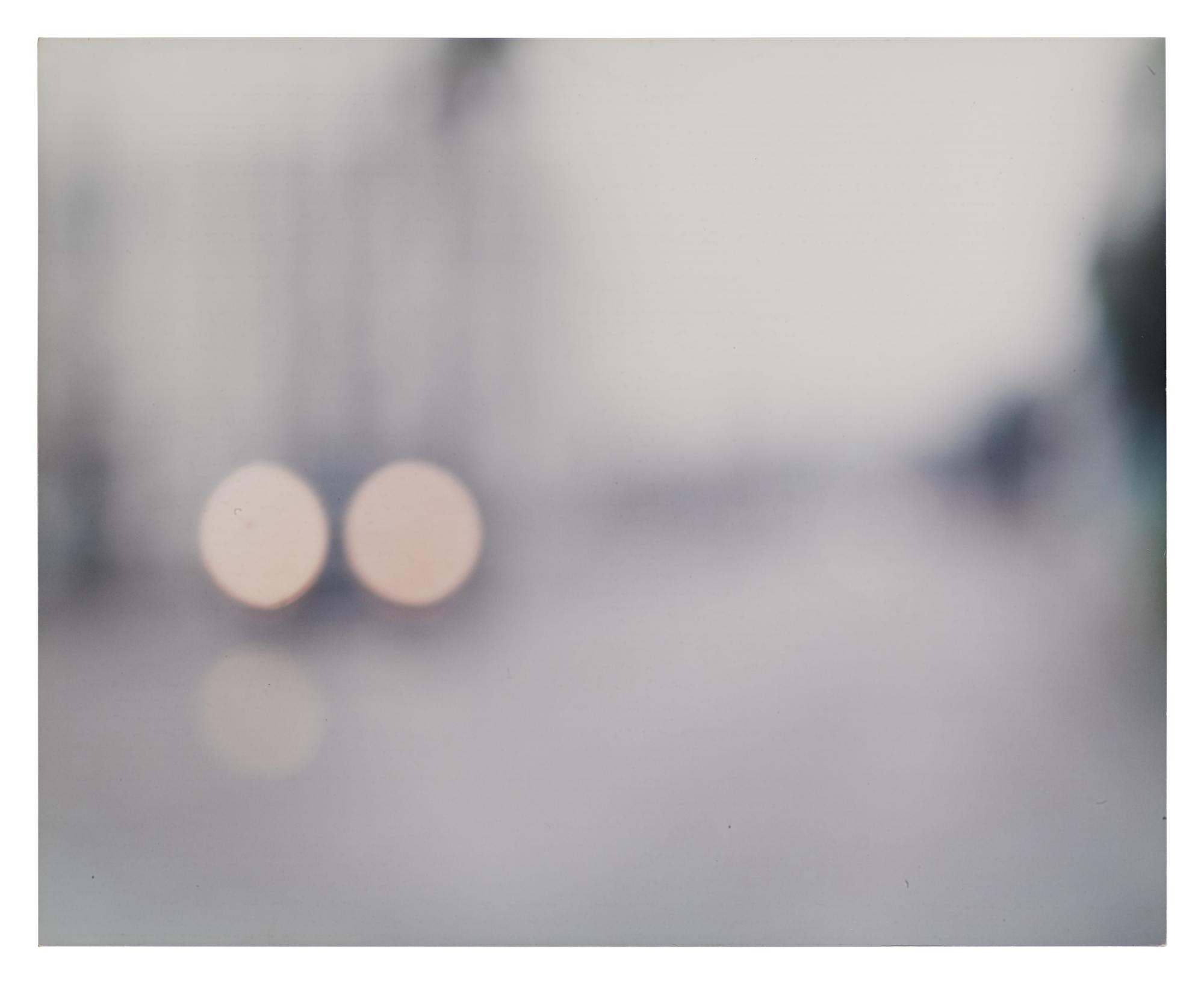 Field #9 | A Life Among Artists: Contemporary Photographs from an ...