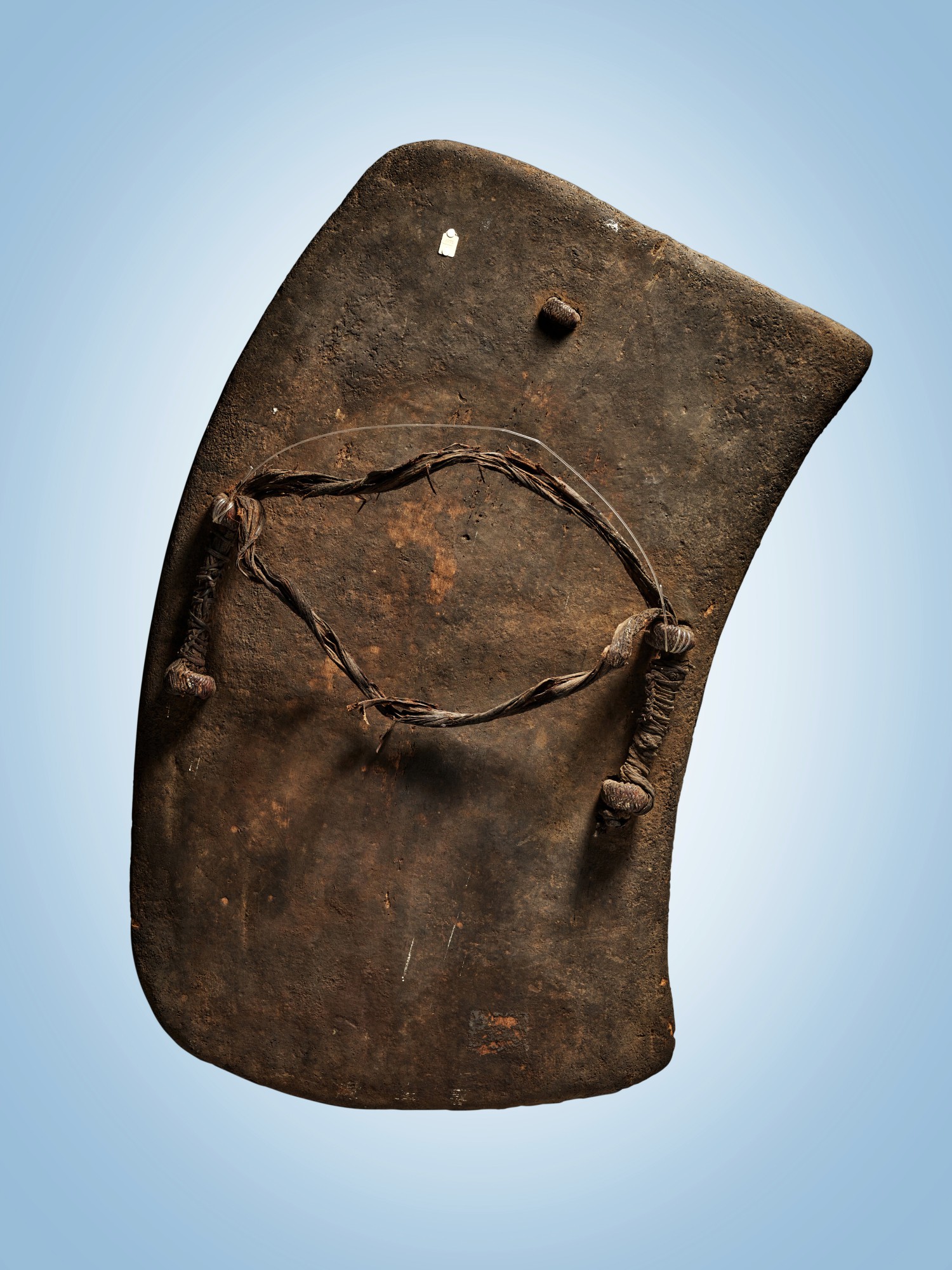 Olo Shield, Torricelli Mountains, West Sepik Province, Papua New Guinea