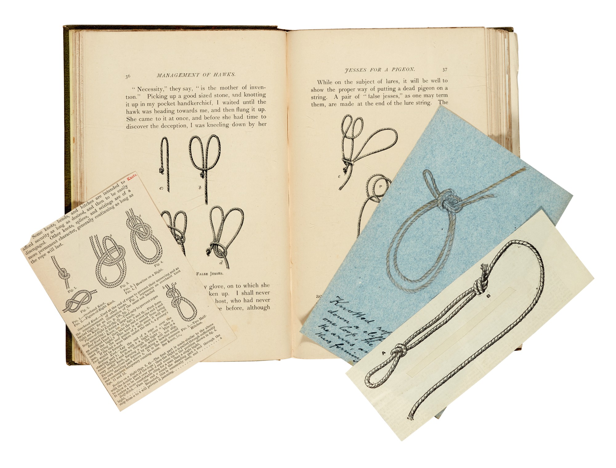 James Edmund Harting | Hints on the Management of Hawks, 1898 ...