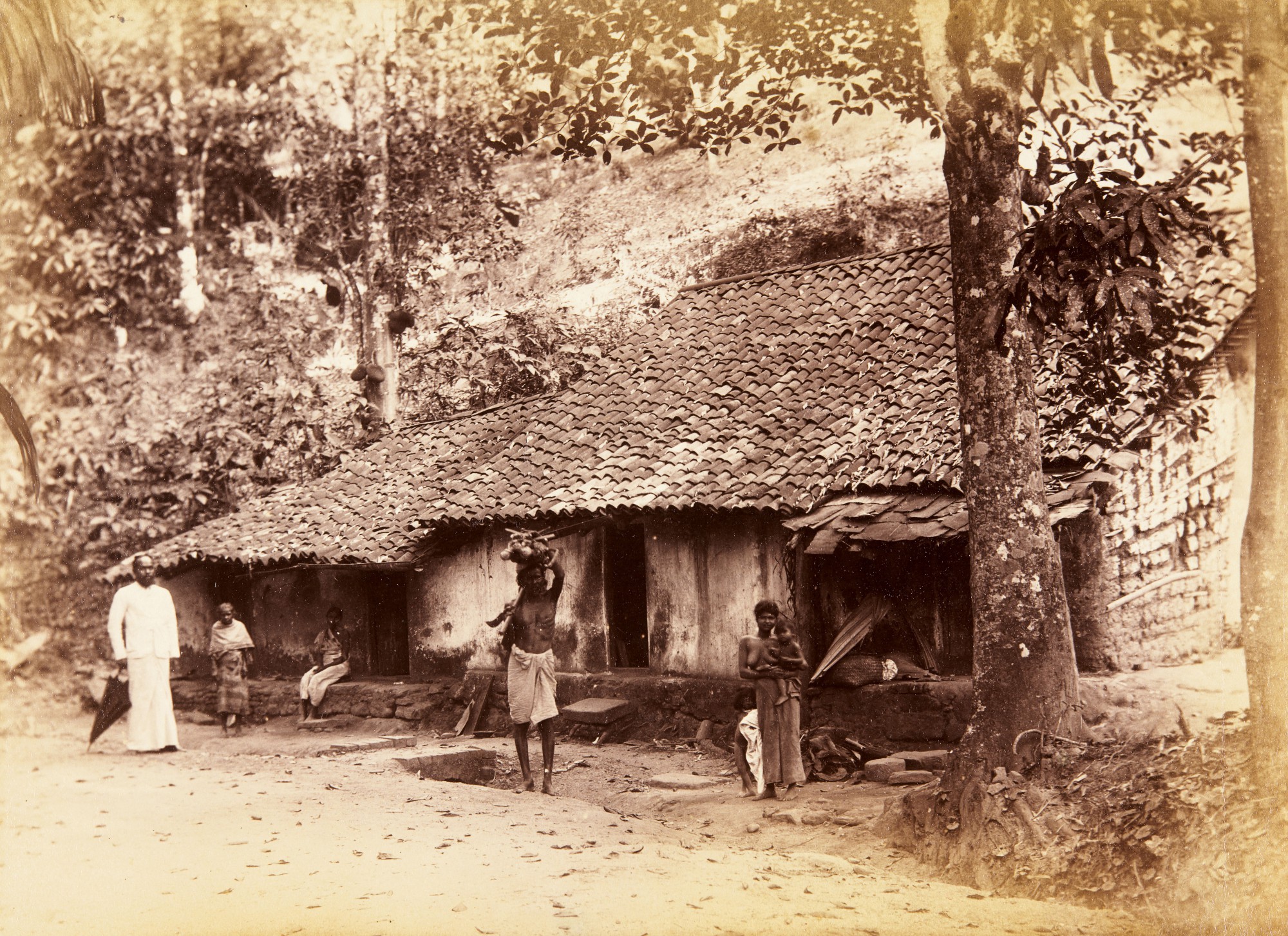 Ceylon | Album of photographs, [1880s-90s] | Classic Travel Photographs ...