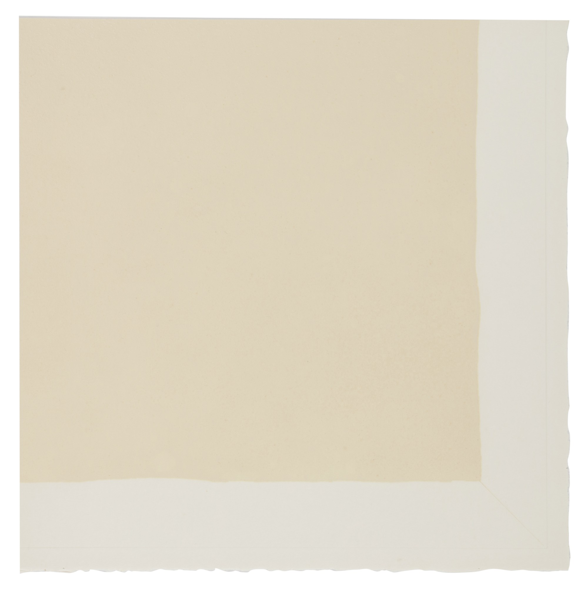 Prints 1969-1993 | The Artist’s Eye: The Collection of Tom Levine ...