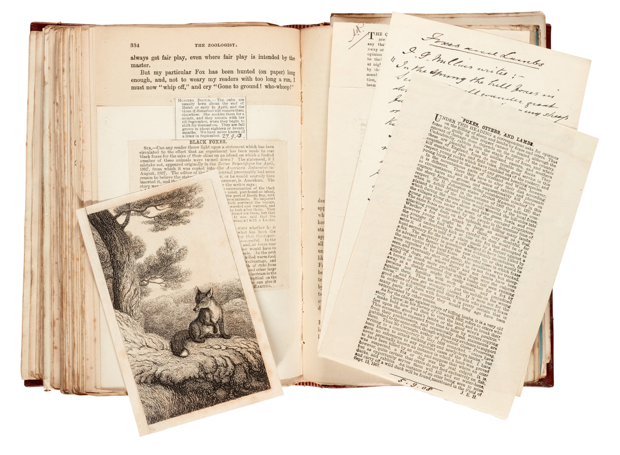 James Edmund Harting | "British Mammals", a volume so titled containing ...