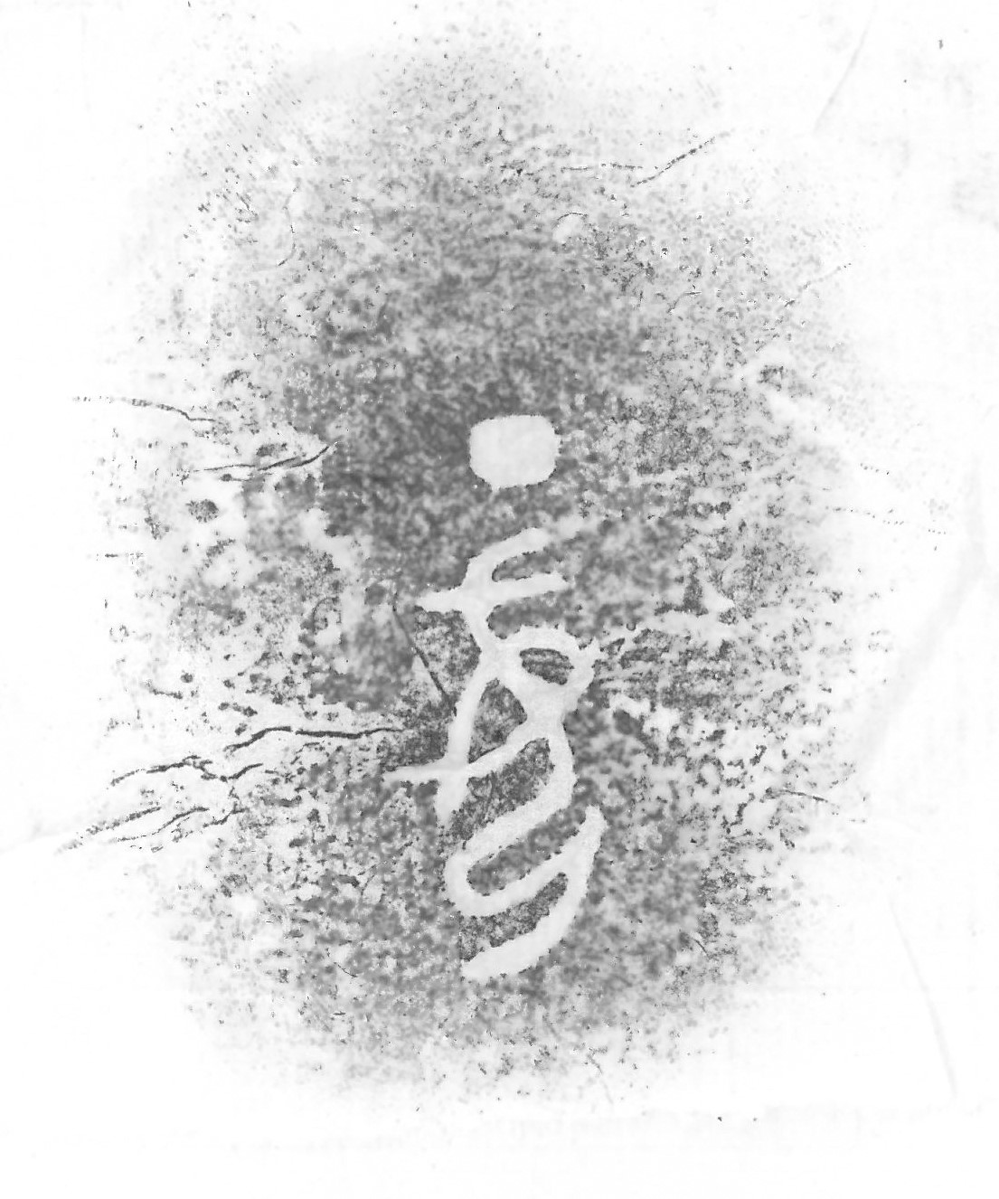 The Ding Mu Zhi, Early Western Zhou dynasty | 西周初 丁母觶 | POWER ...