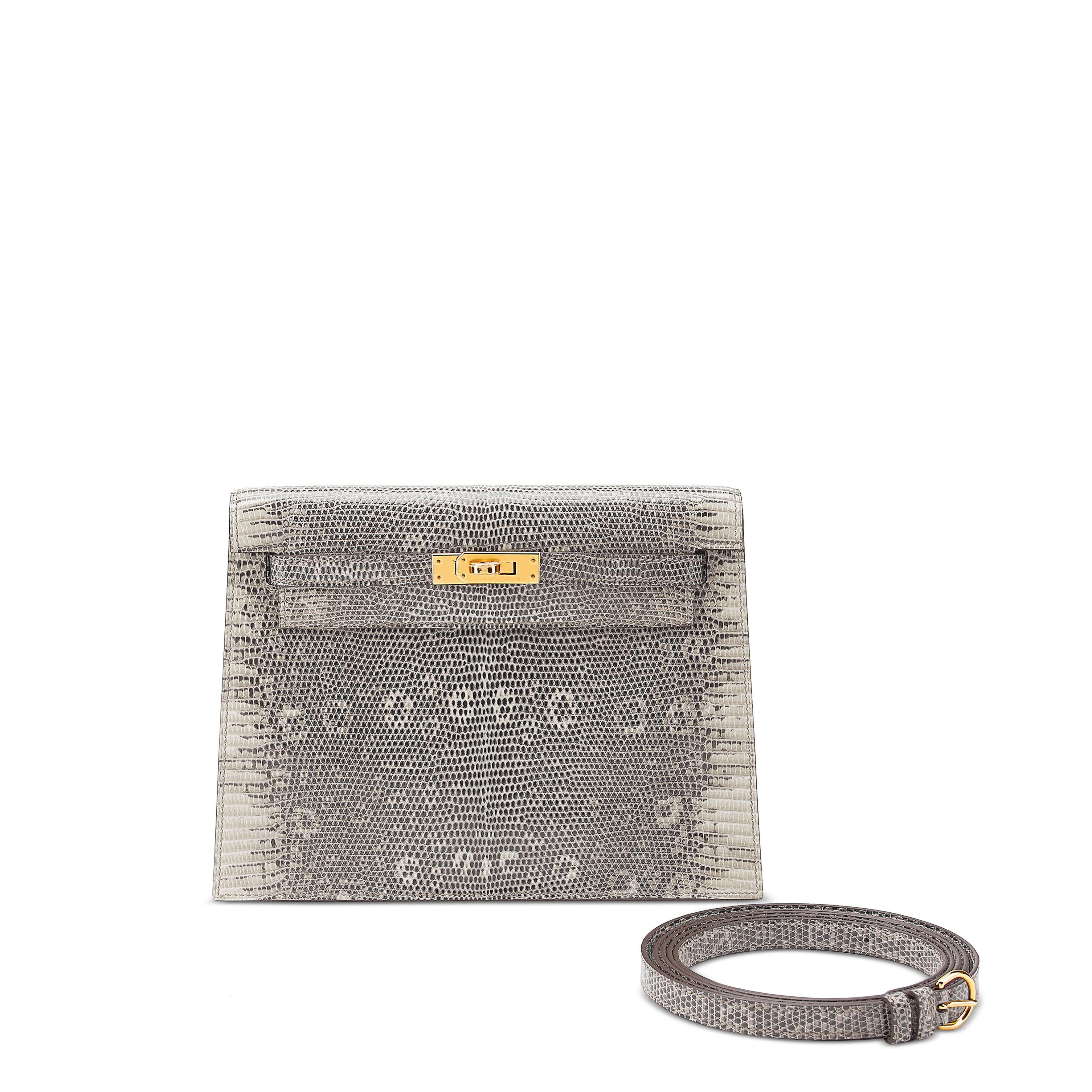 Ombre Salvator Lizard Kelly Danse II... | Handbag | Sotheby's