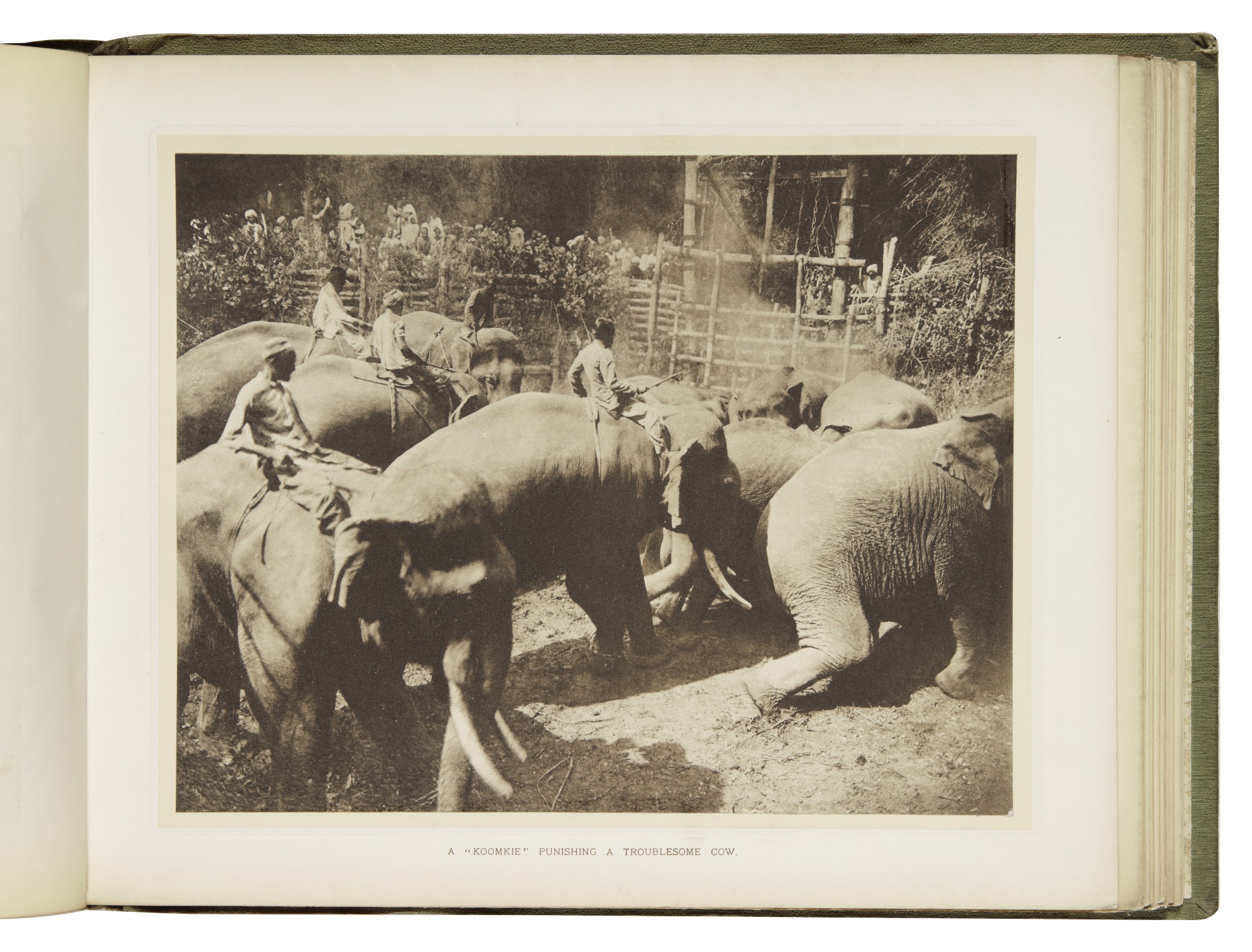 [INDIA — TRAVEL AND SPORTING PHOTOGRAPHY] — M. MUTTANNAH [PHOTOGRAPHER ...