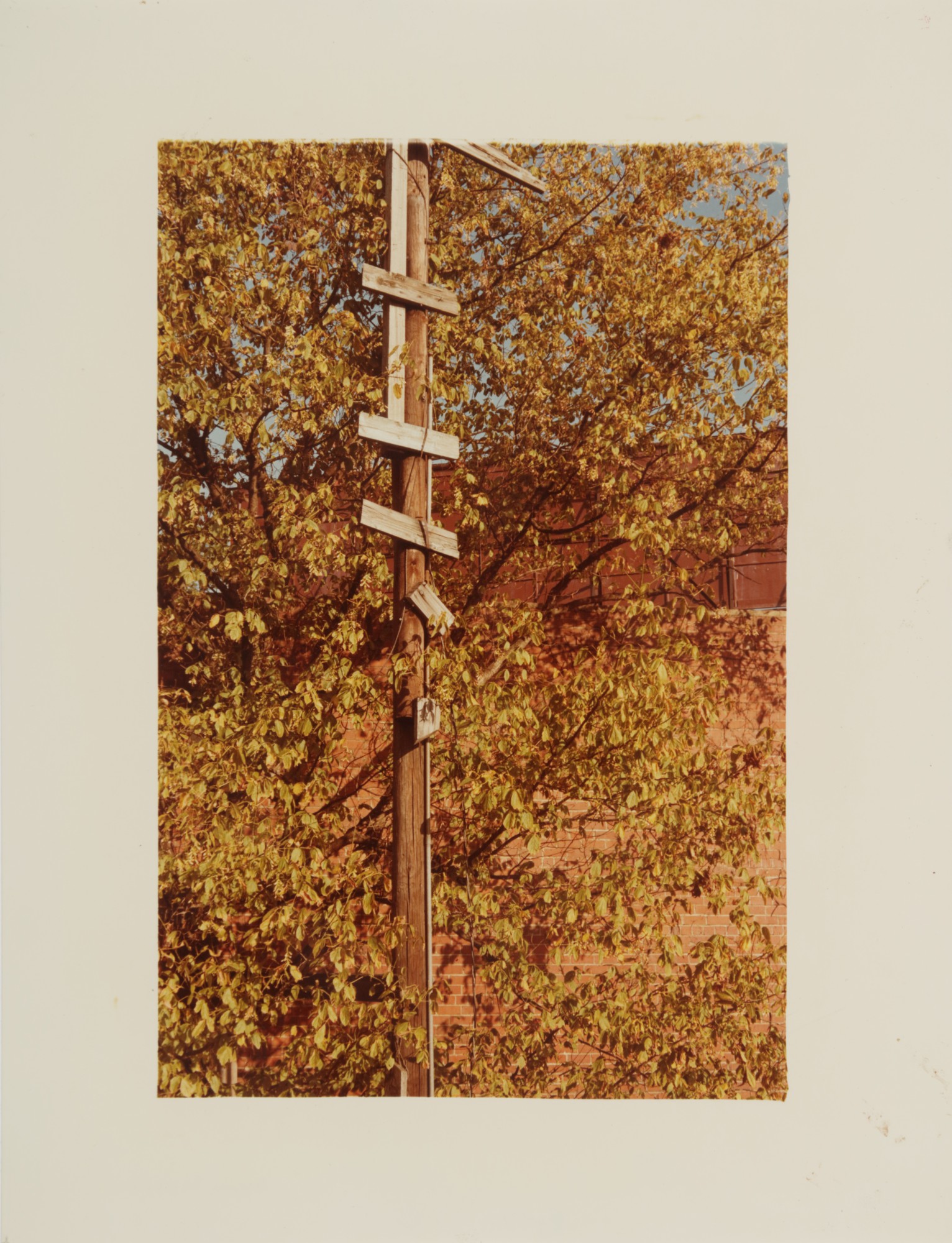 Selected Images Photographs 2021 Sotheby S