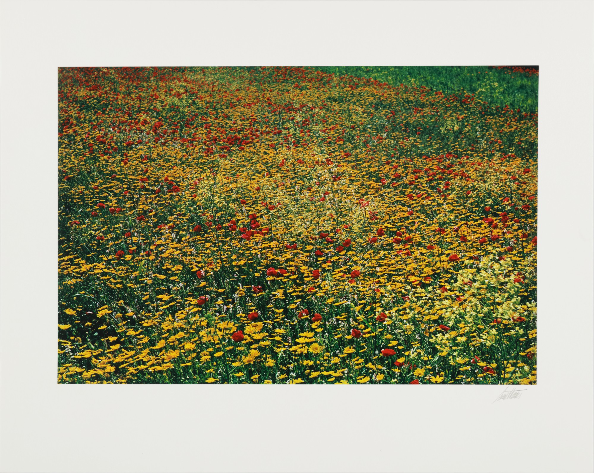 ERNST HAAS | 'THE CREATION' | Classic Photographs | 2020 | Sotheby's