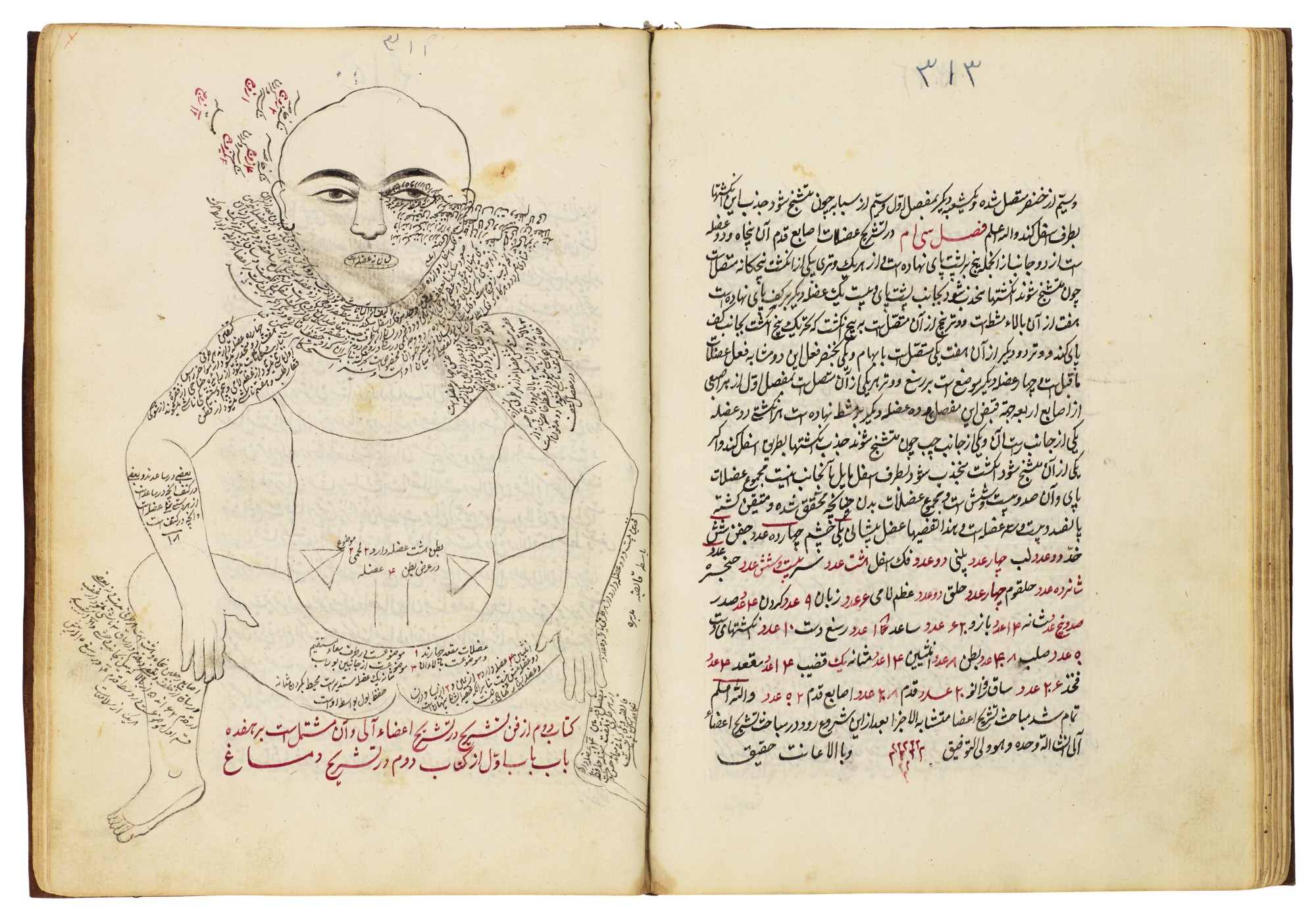 ABU AL-MAJID AL-TABIB AL-BAYDAWI, KITAB TASHRIH, COPIED BY ABU AL-QASIM ...