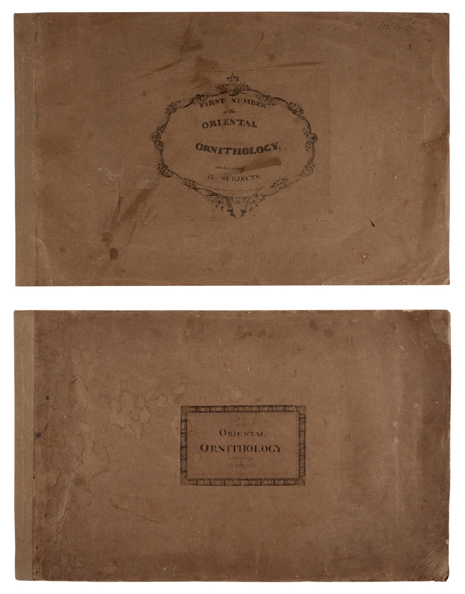 Christopher Webb Smith and Charles d'Oyly | Oriental ornithology, Patna ...