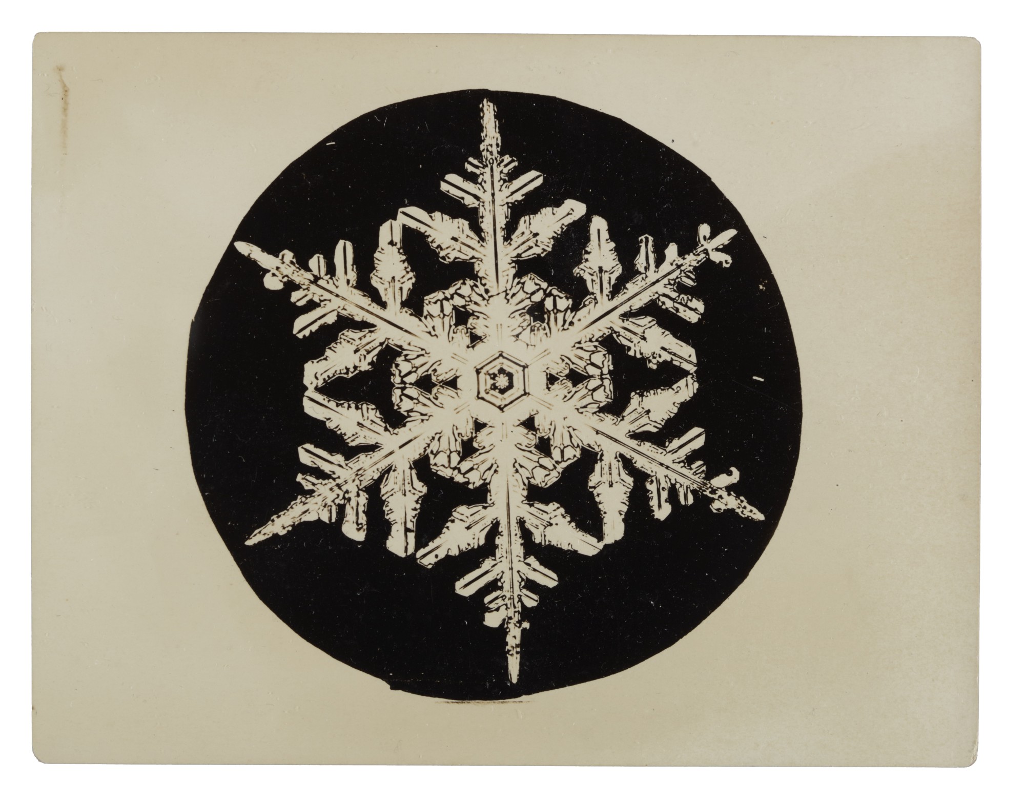 Selected Images of Snowflakes | Classic Photographs | 2021 | Sotheby's