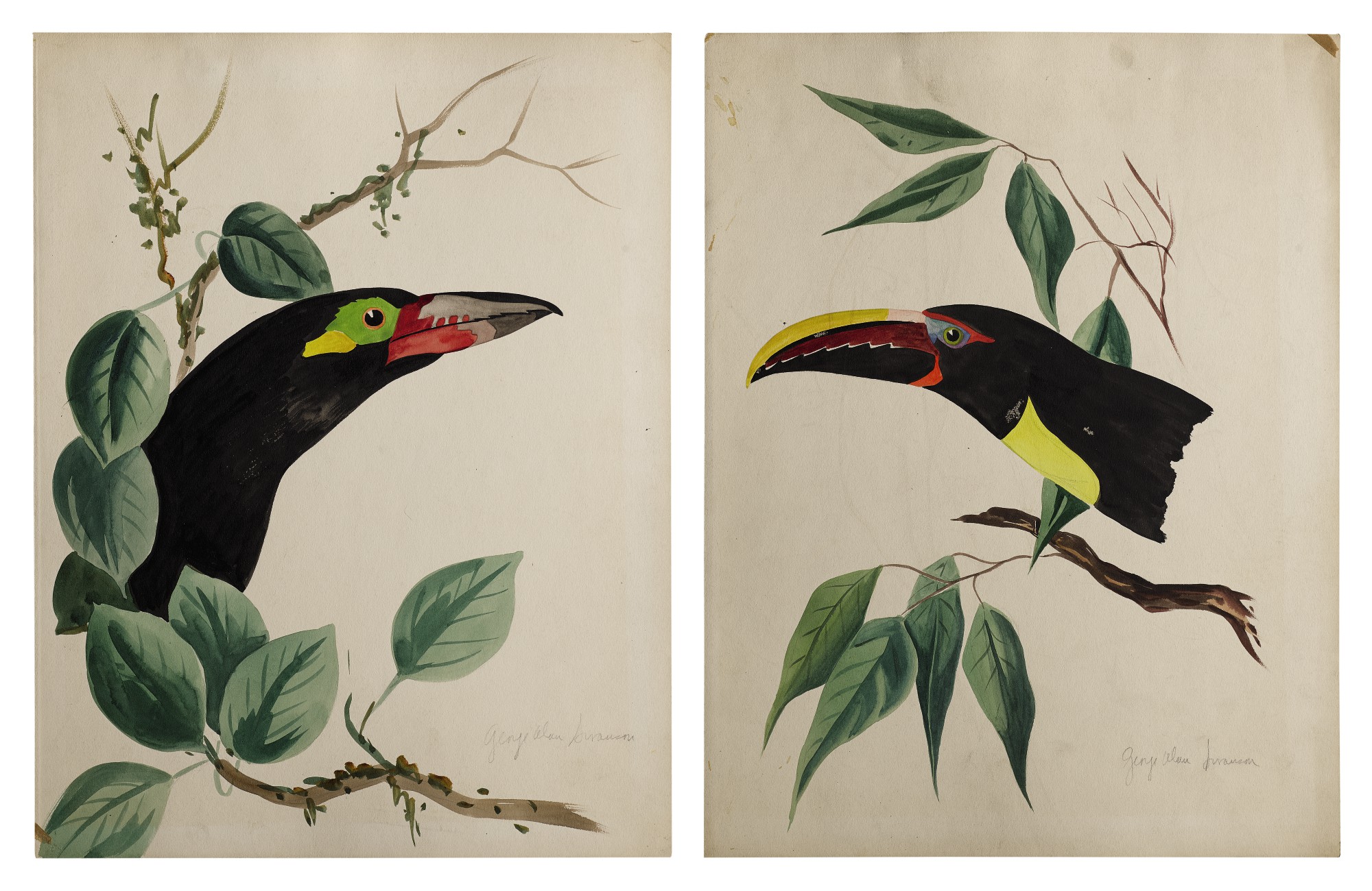 TWO WORKS: TROPICAL BIRDS IN TREES | The Art of Expedition: The Works ...