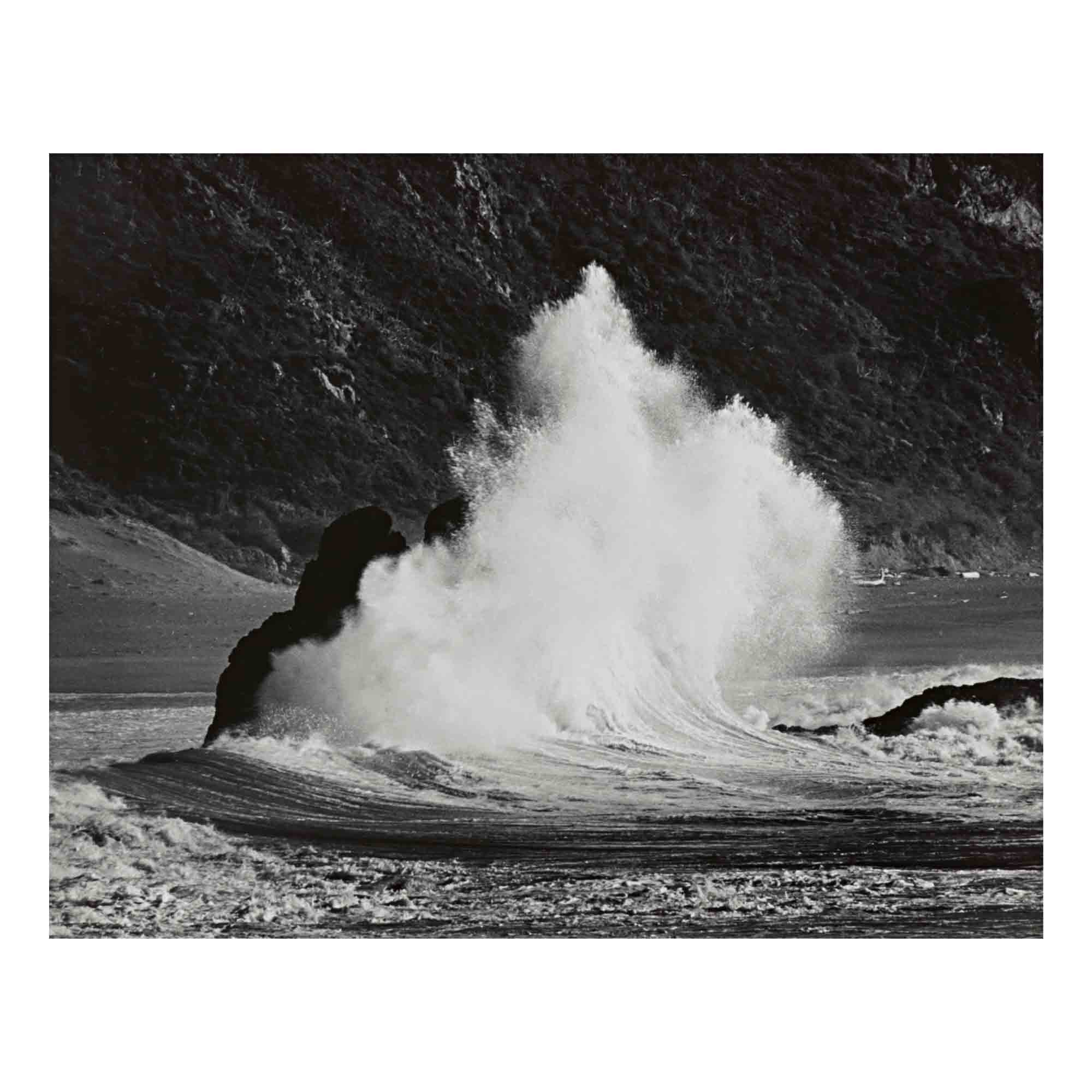 'Wave Near Goat Rock, N. Calif. Coast' | A Grand Vision: The David H ...