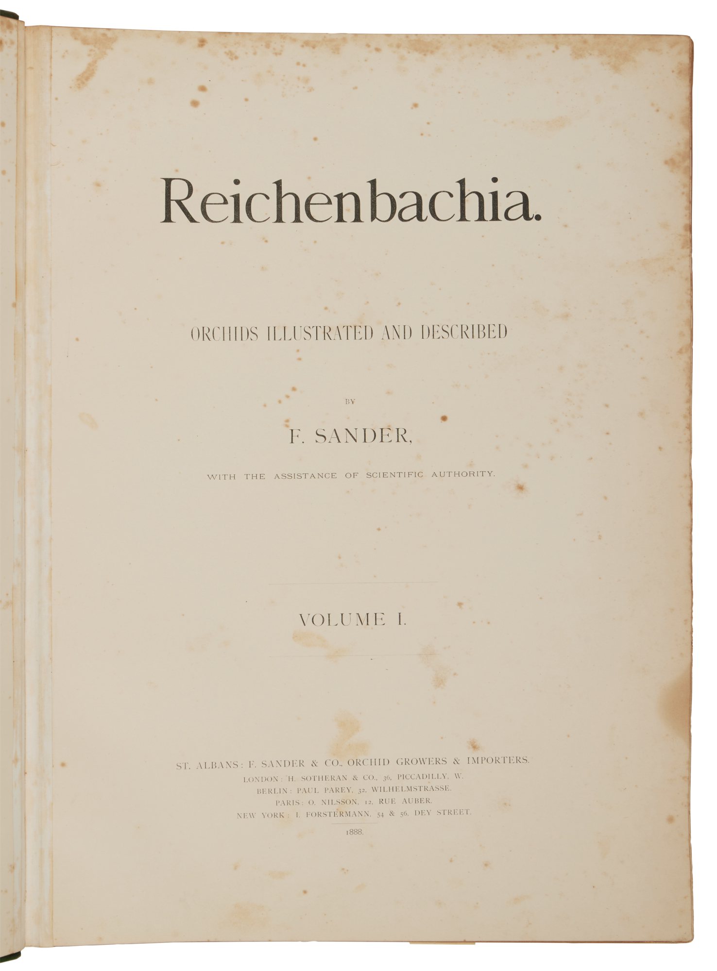 Sander, F. [Henry Frederick Conrad] | The most spectacular book on ...