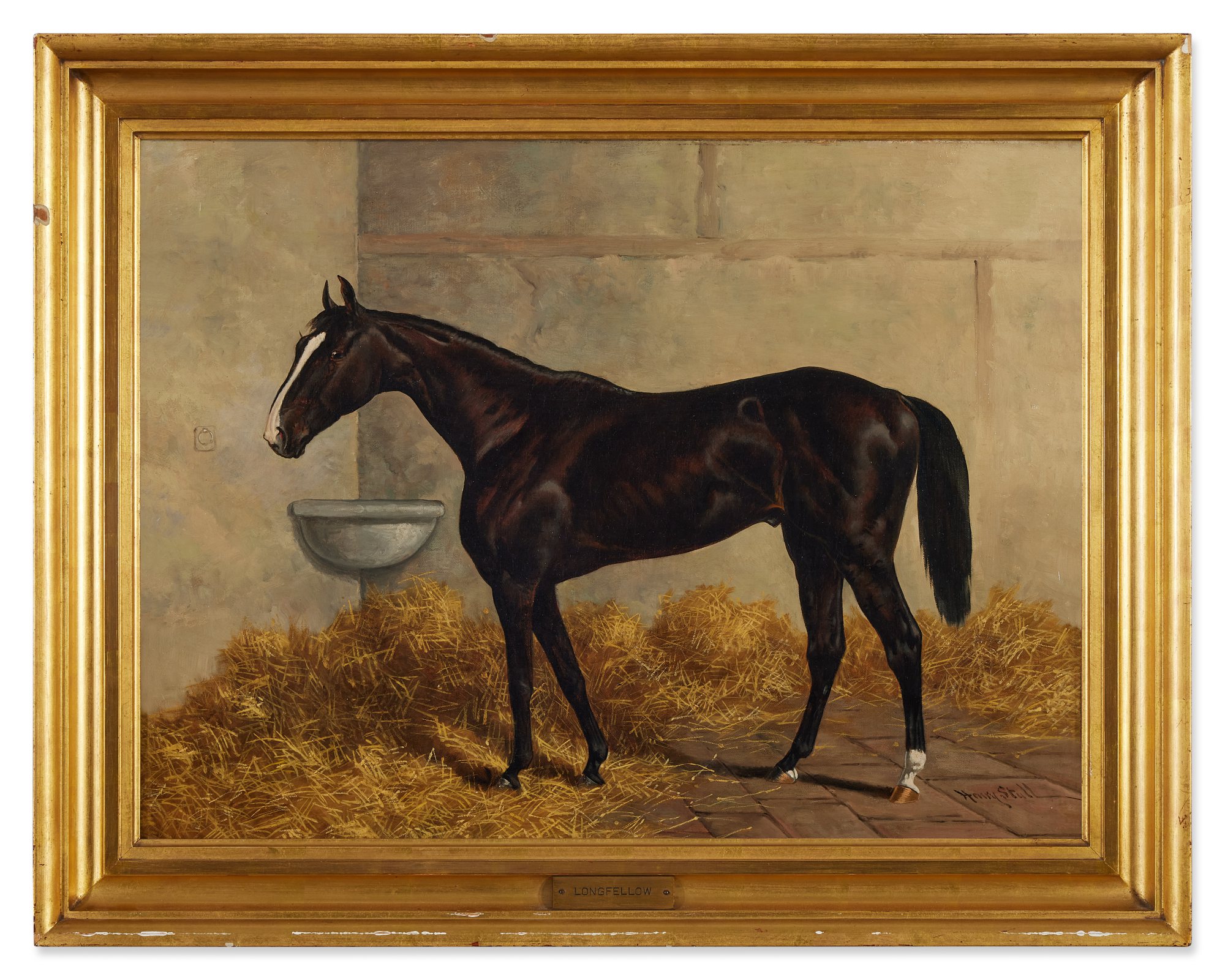 Longfellow (A Dark Bay Racehorse) in a Stable | Sporting Life | 2022 ...
